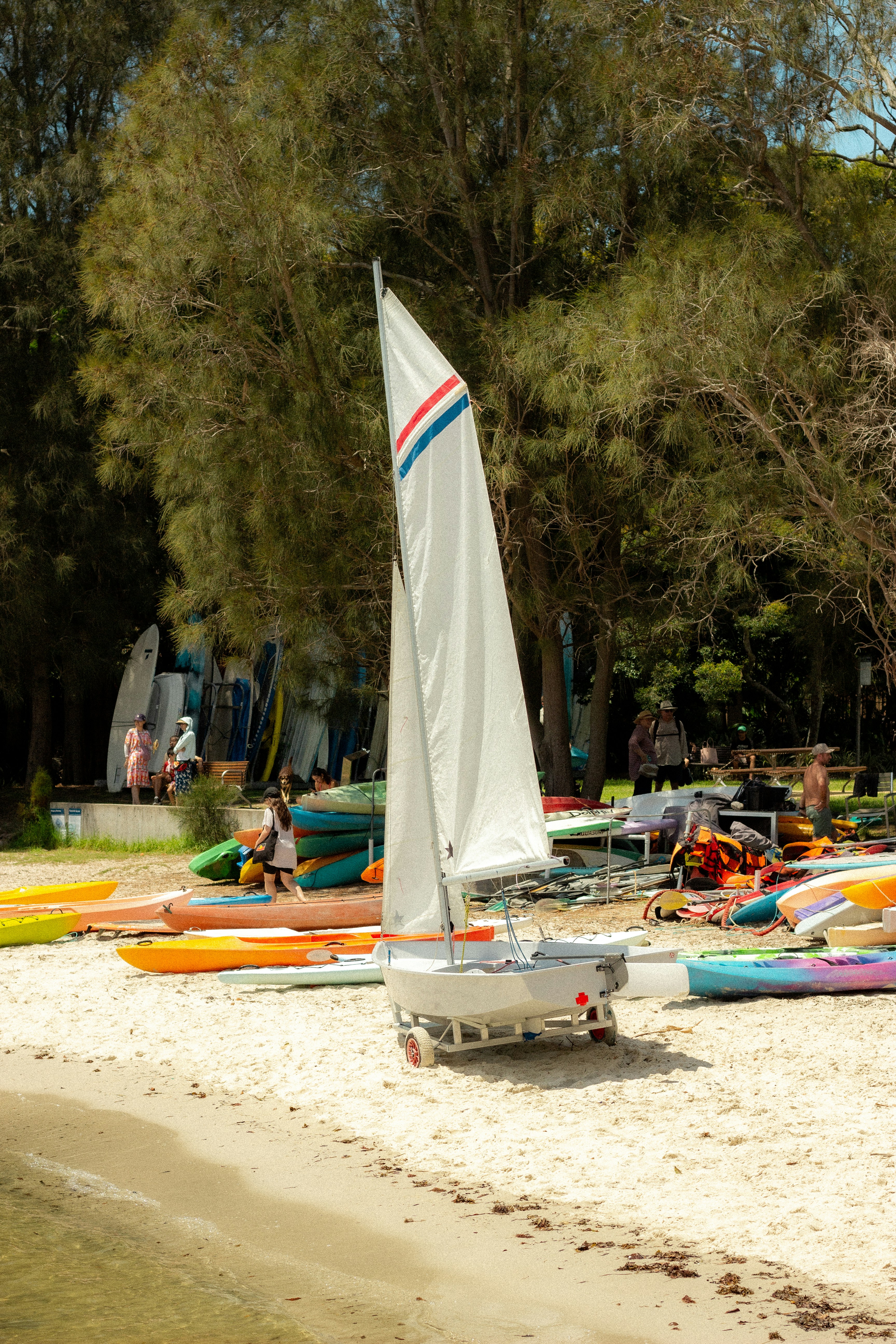 Sailboat on a Sunlit Beach with a Backdrop of Kayaks and Trees