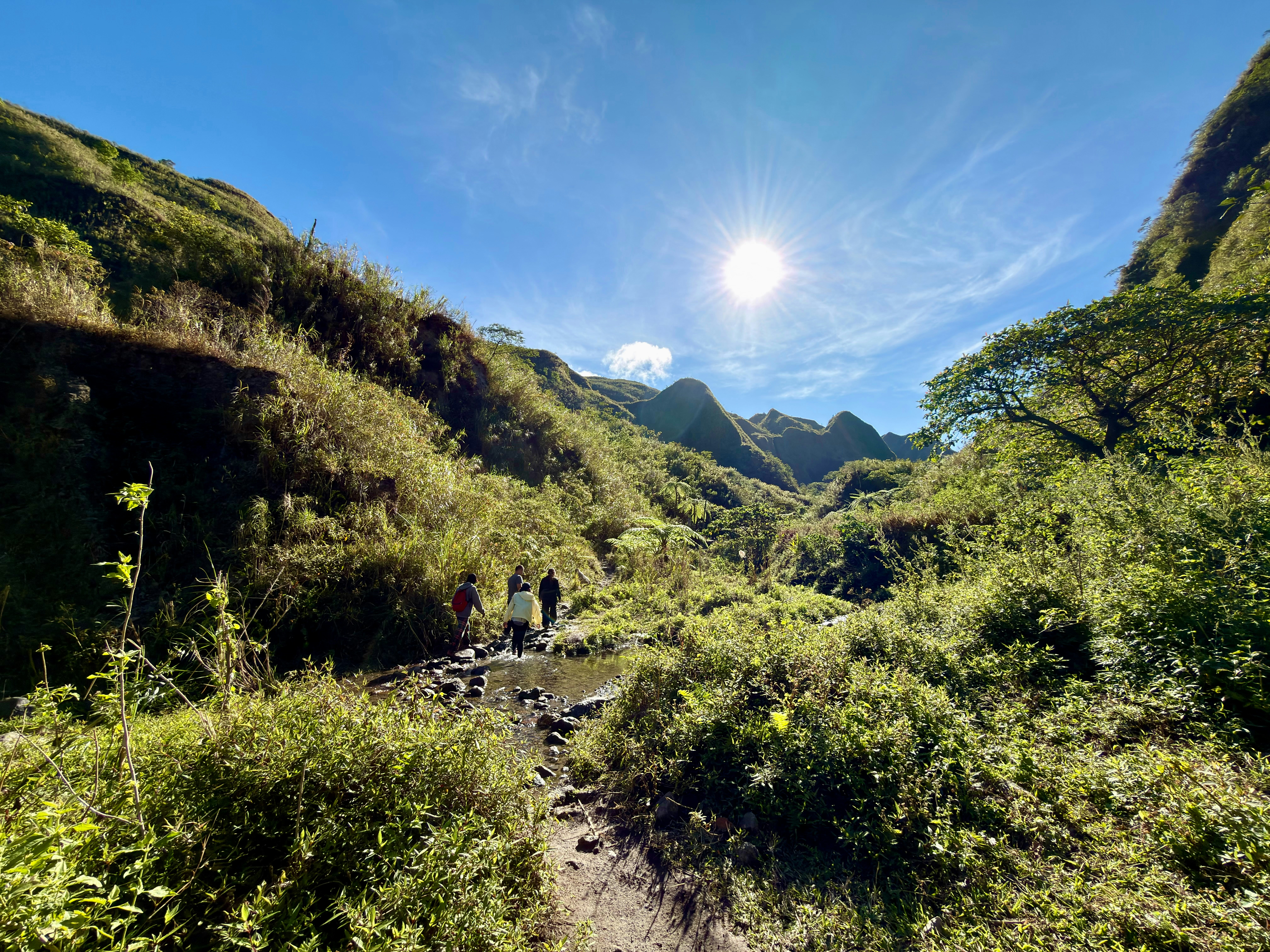 Sunlit Valley Trek: A Bright Path Through Verdant Hills