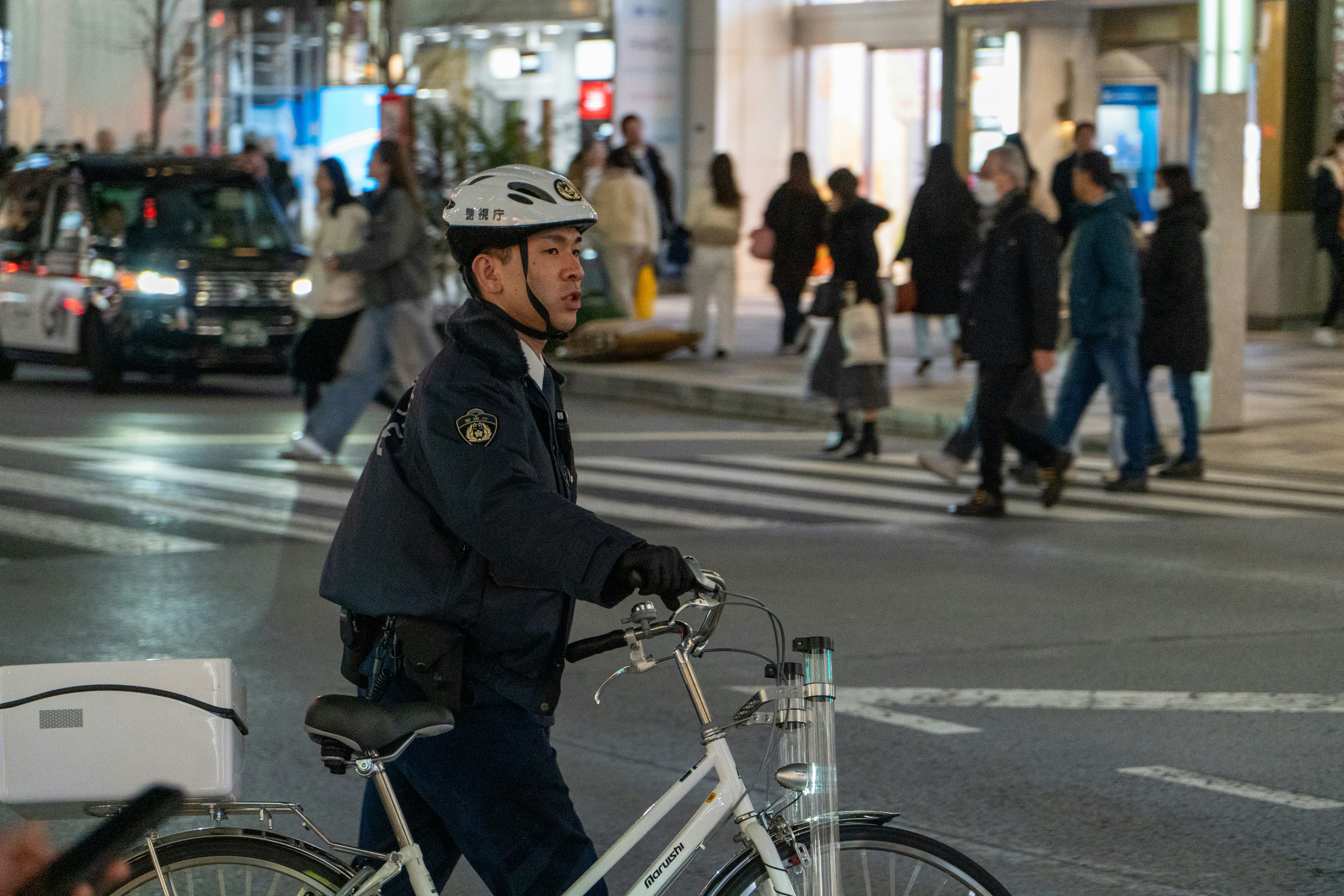 City Cyclist on Alert: A Pedestrian Crossing in Motion