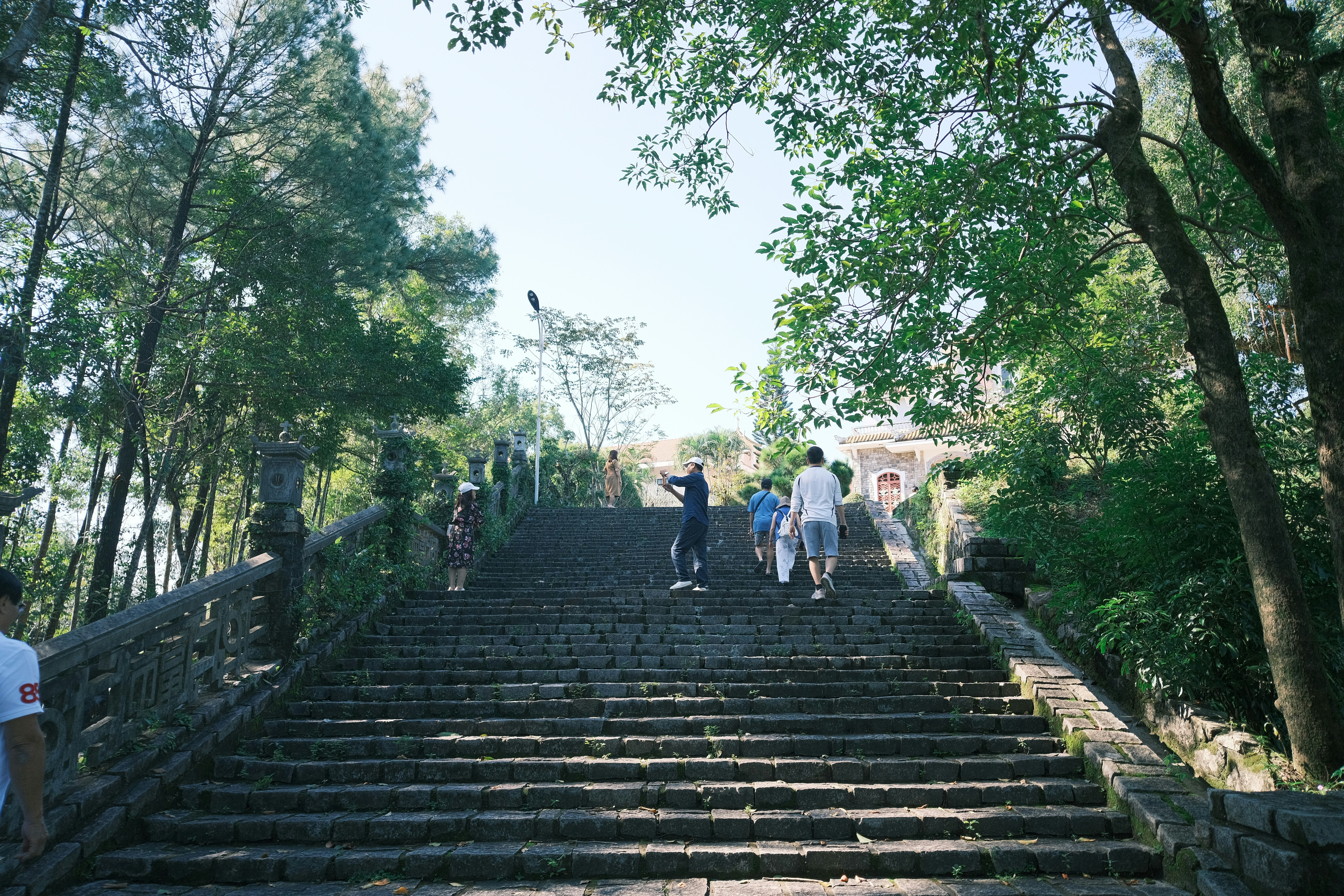 Stone Steps to the Summit: A Quiet Ascent Under Green Canopy