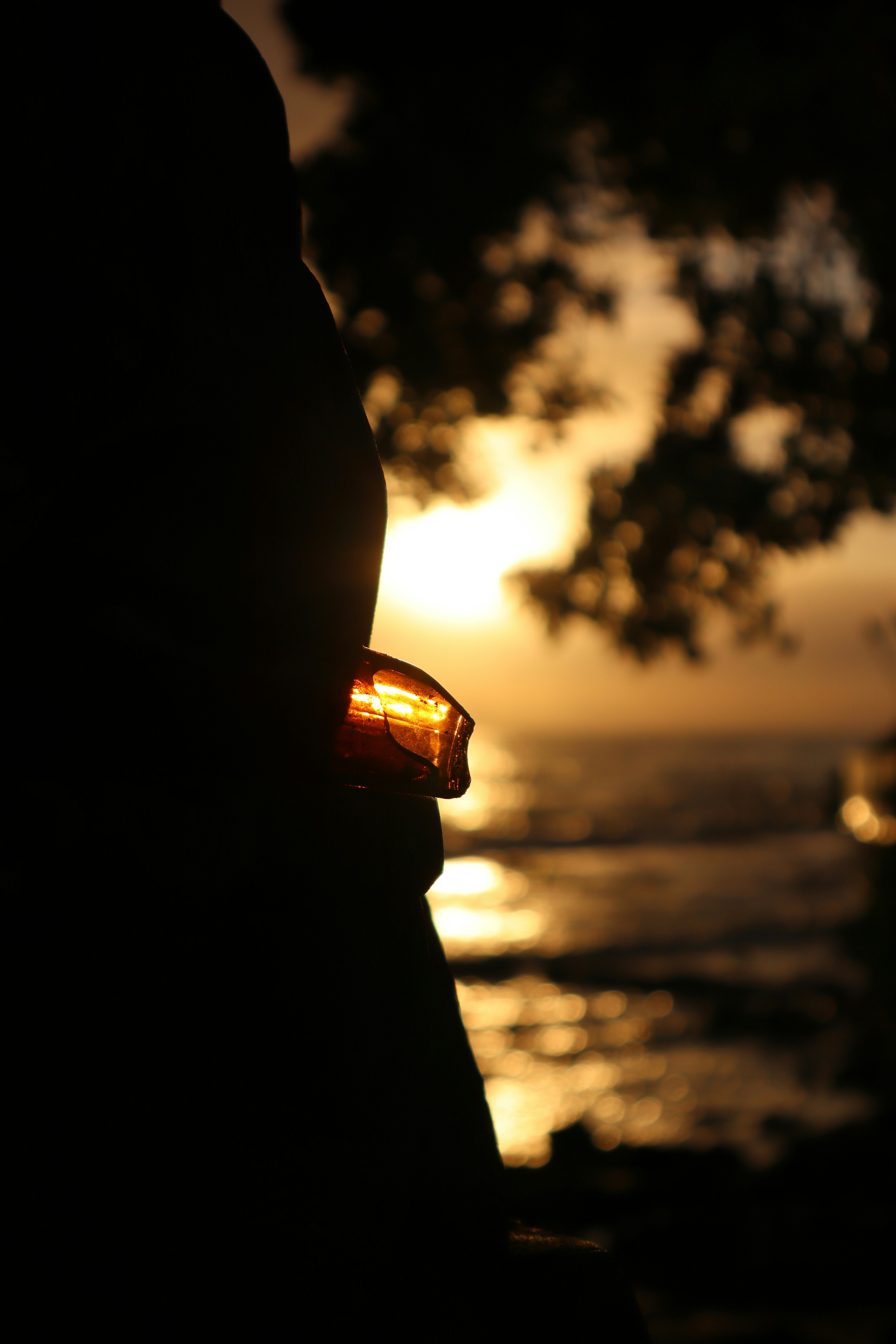 Sunset silhouette with a glowing amber shard
