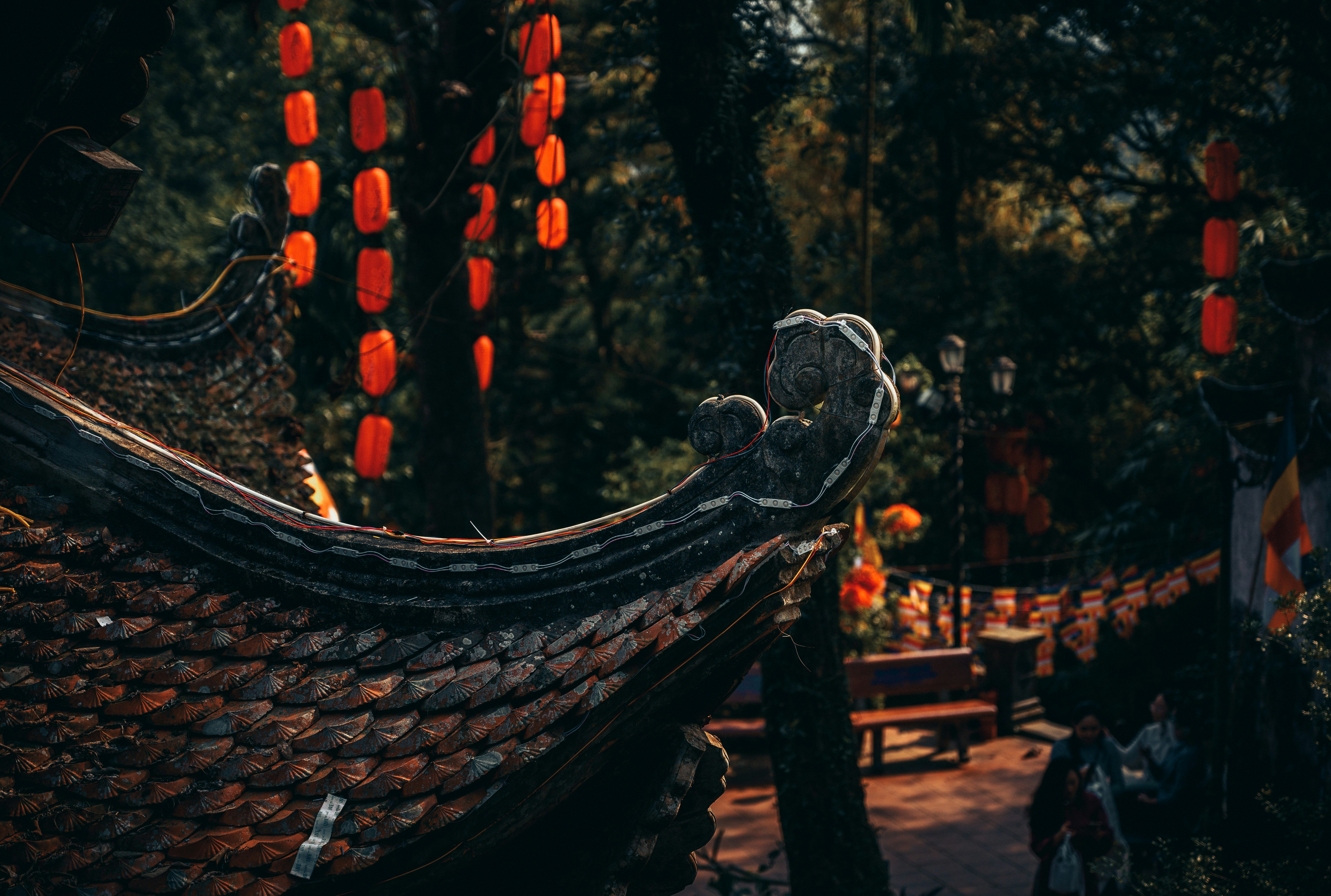 Lantern-lit Rooftop Dragon Crest Amid Silent Courtyard