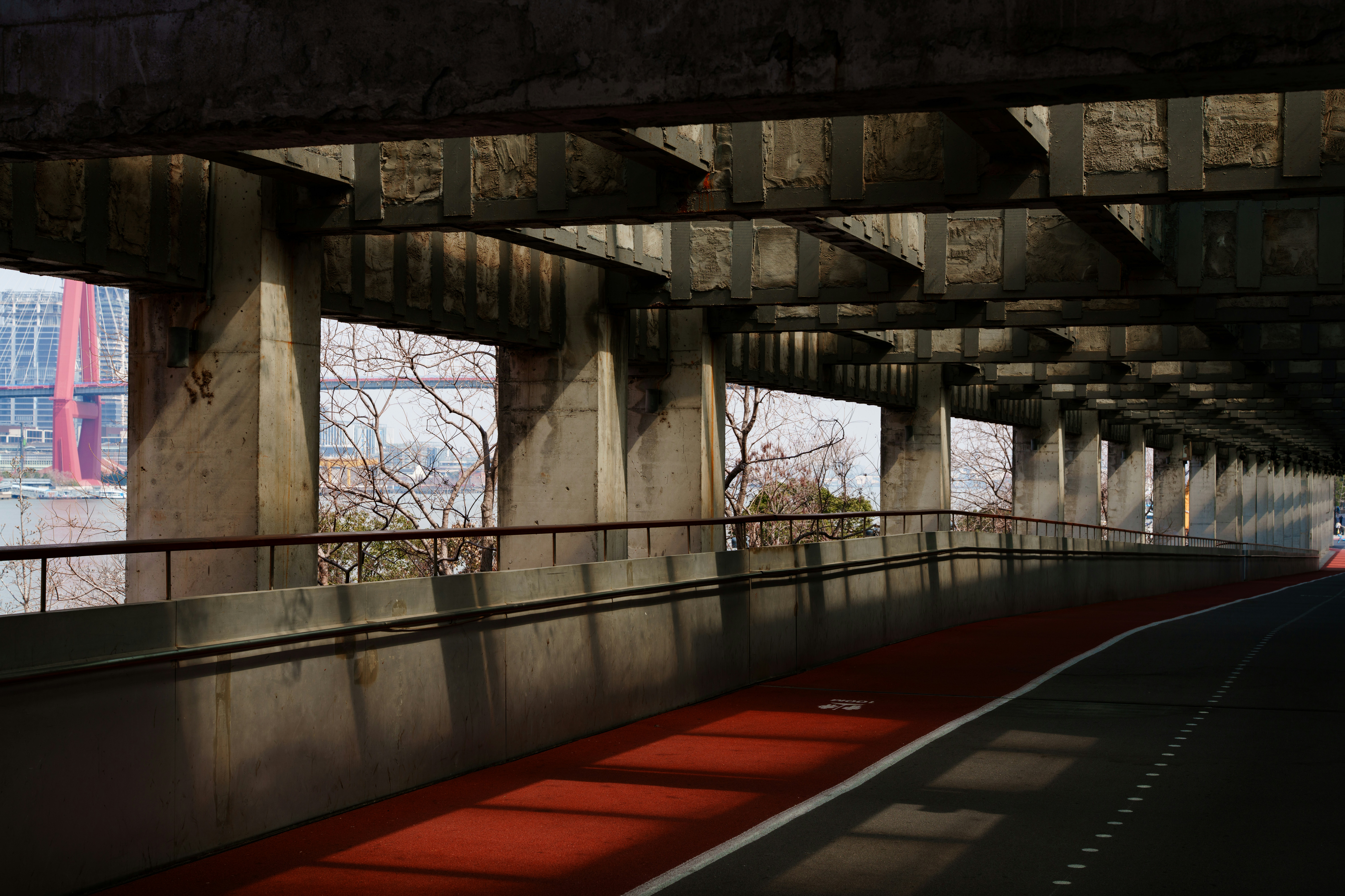 Concrete Corridor: A Quiet Road Under the City Bridge