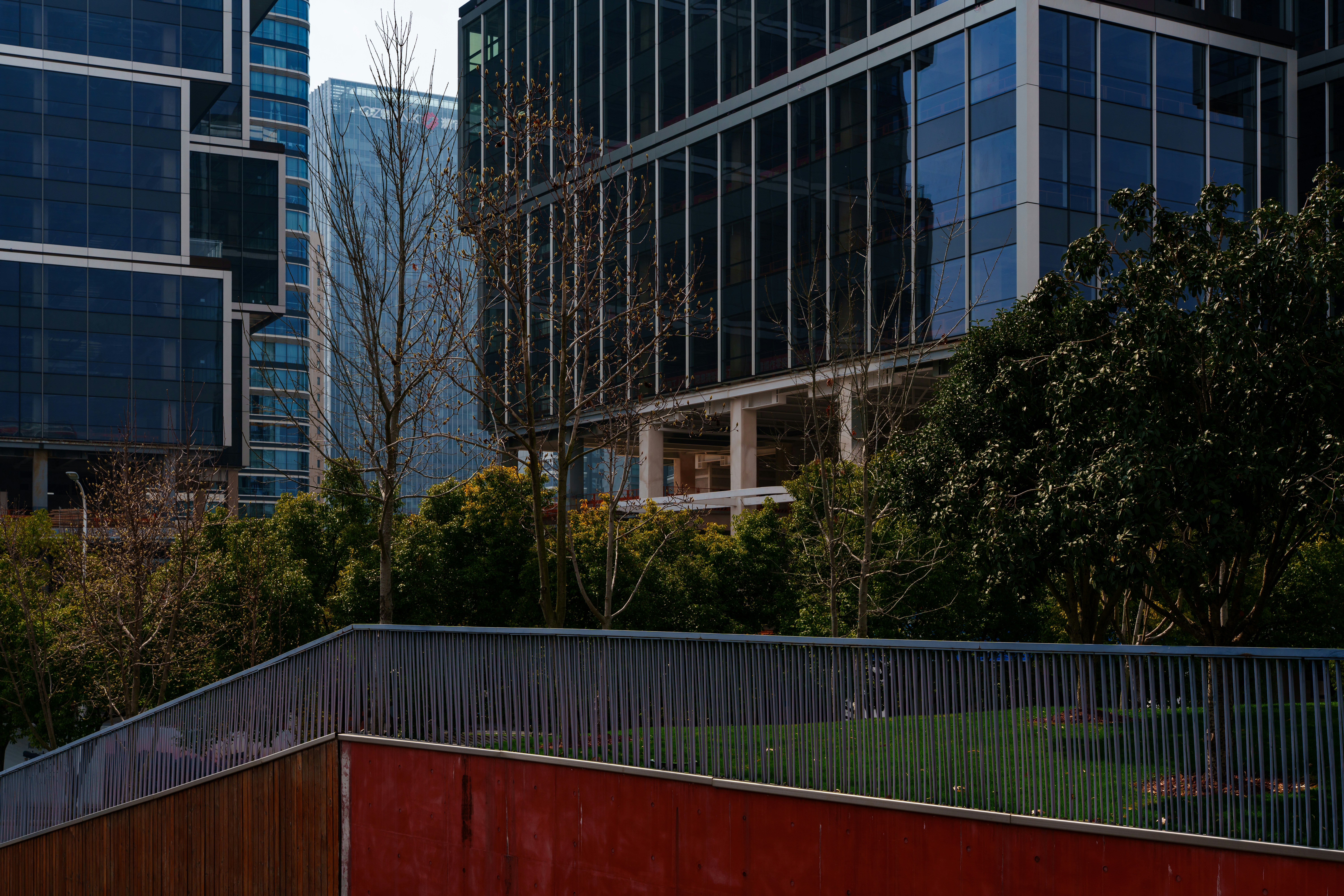 Urban Terrace: Quiet Green Amid Glass Giants