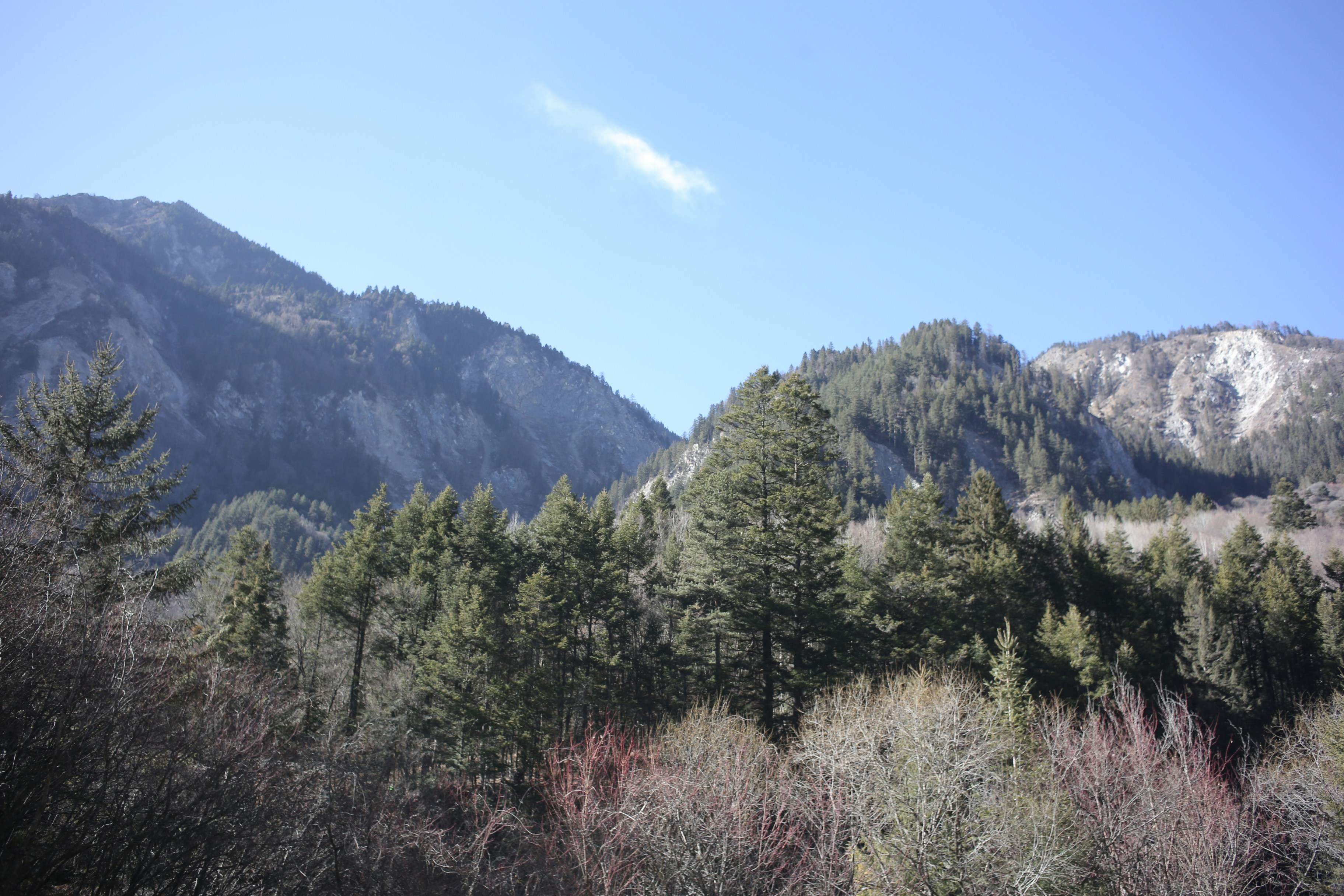 Forest Ridge under a Clear Alpine Sky