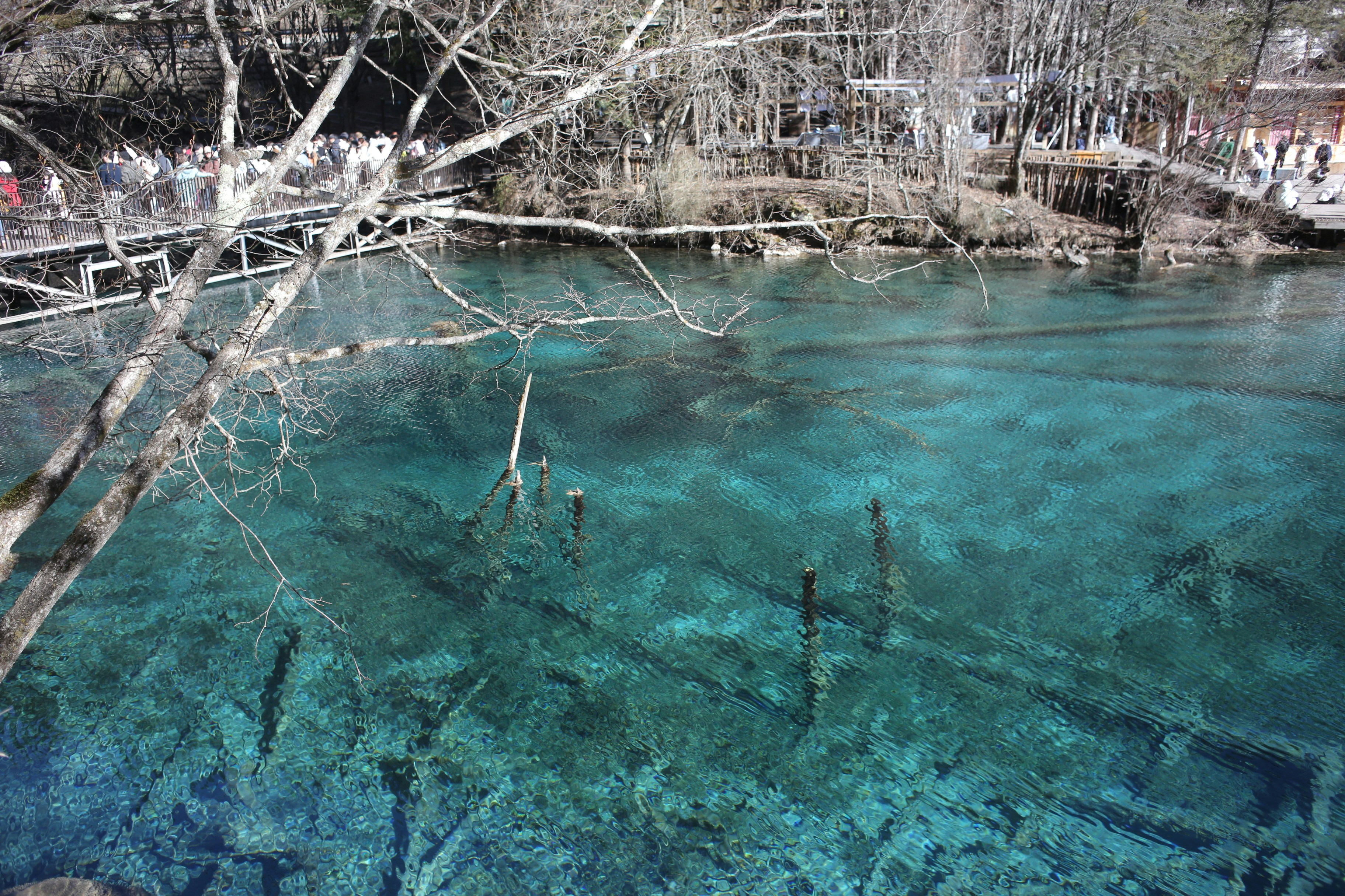 Azure Springs of the Blue Hole