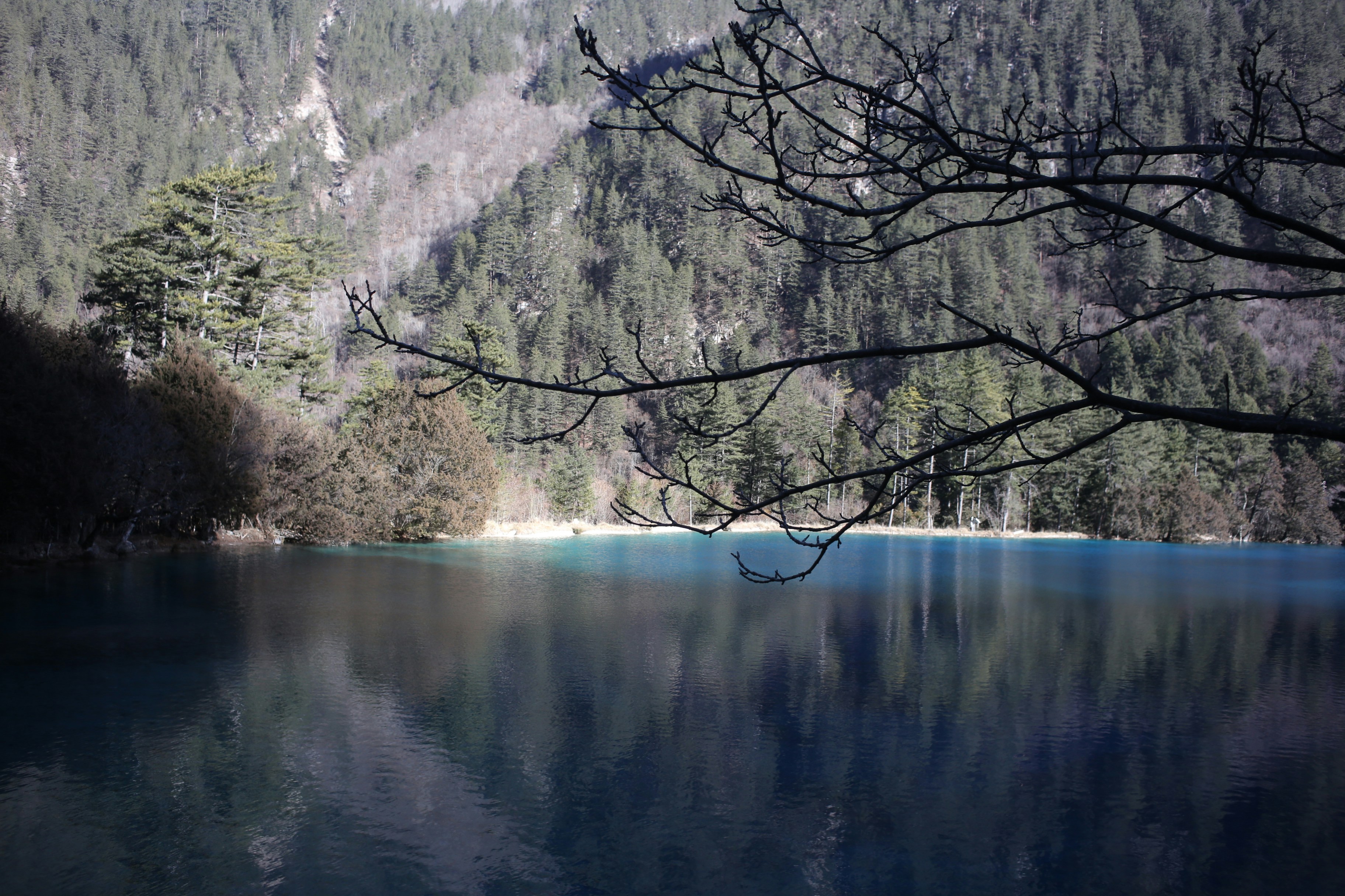 Azure Mirror: Snow-Blanketed Forest Reflected on Quiet Lake