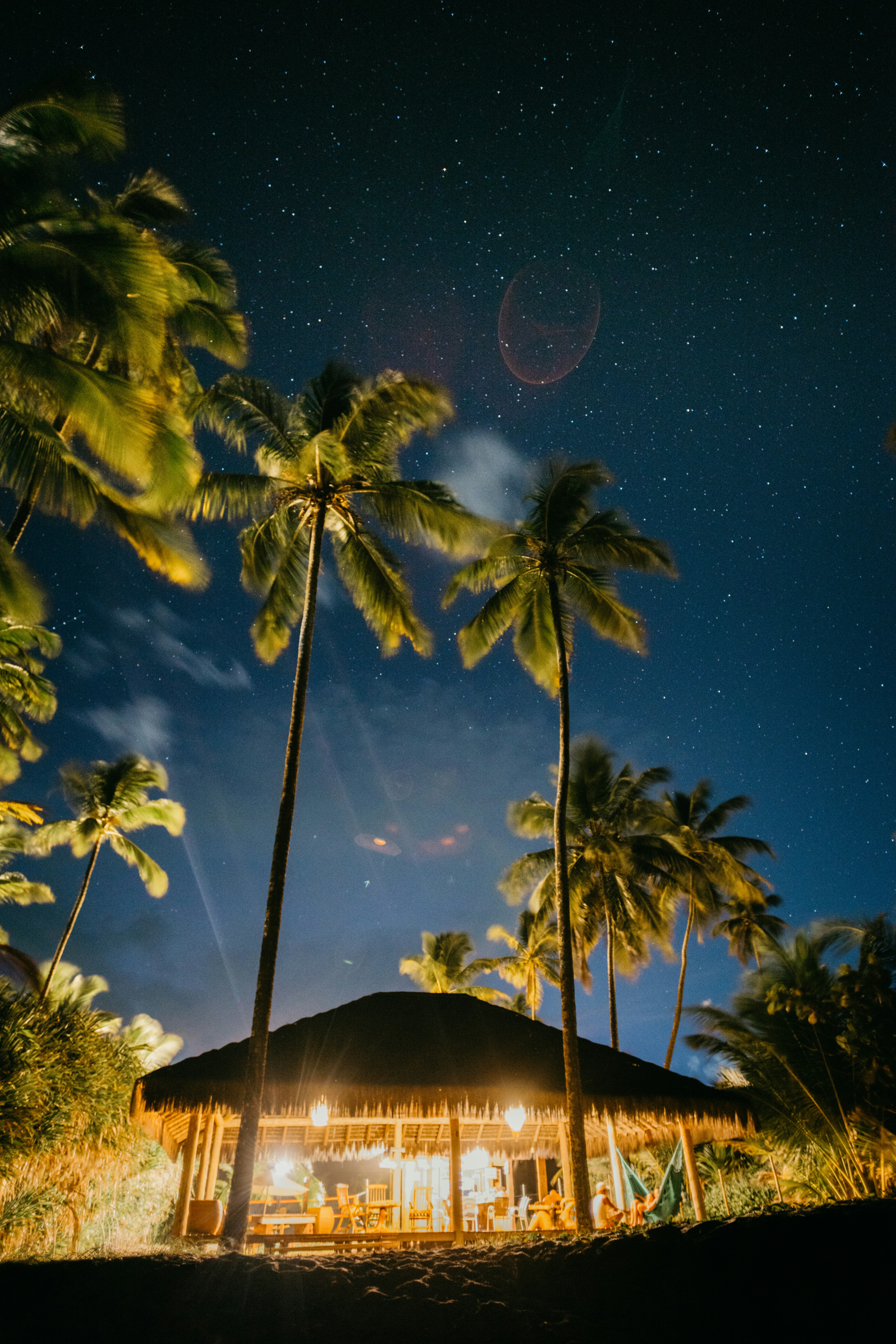 Nightfall at the Palm Grove Hut