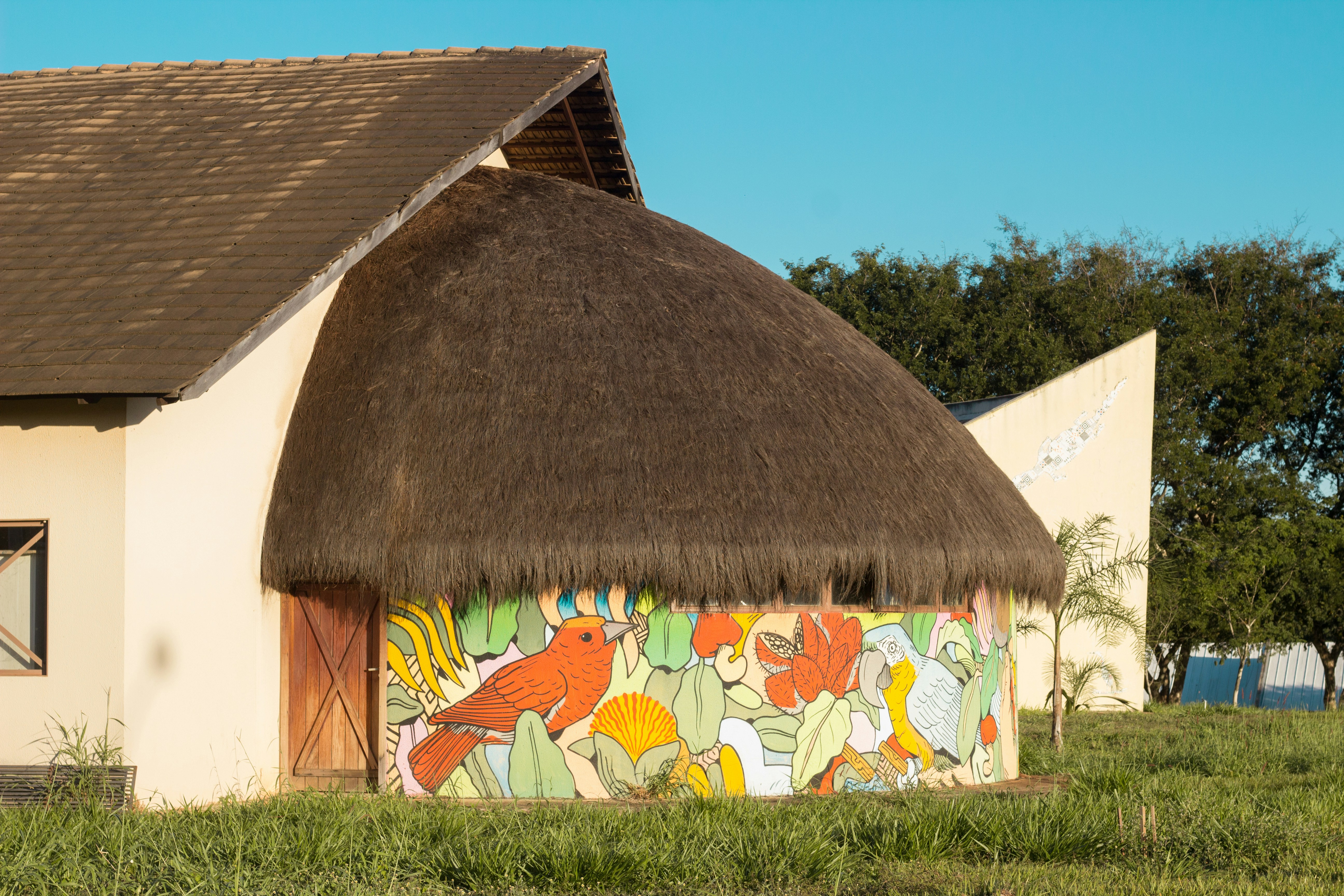 Thatched Roof Pavilion with Painted Wall