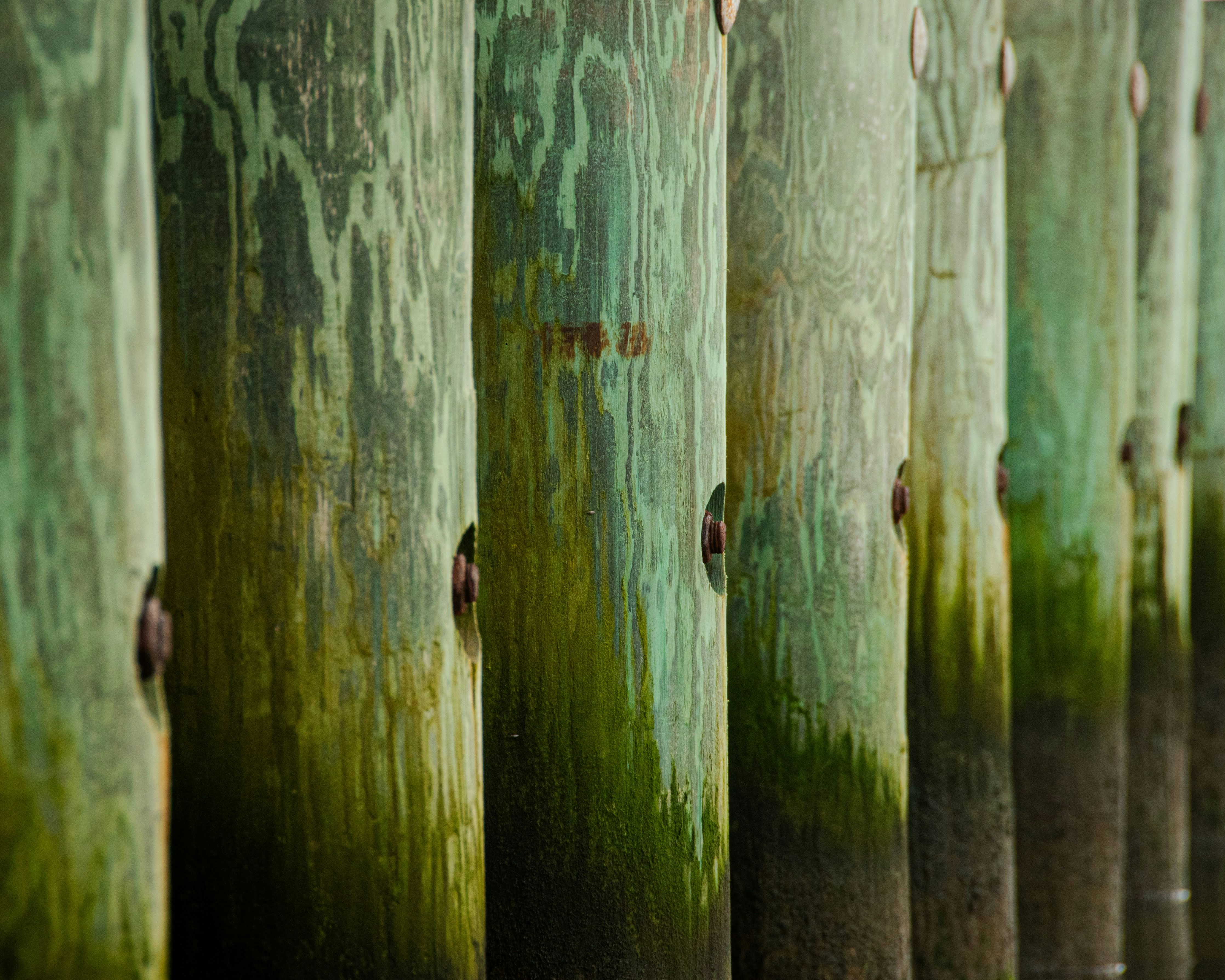 Green pillars in a weathered harbor wall