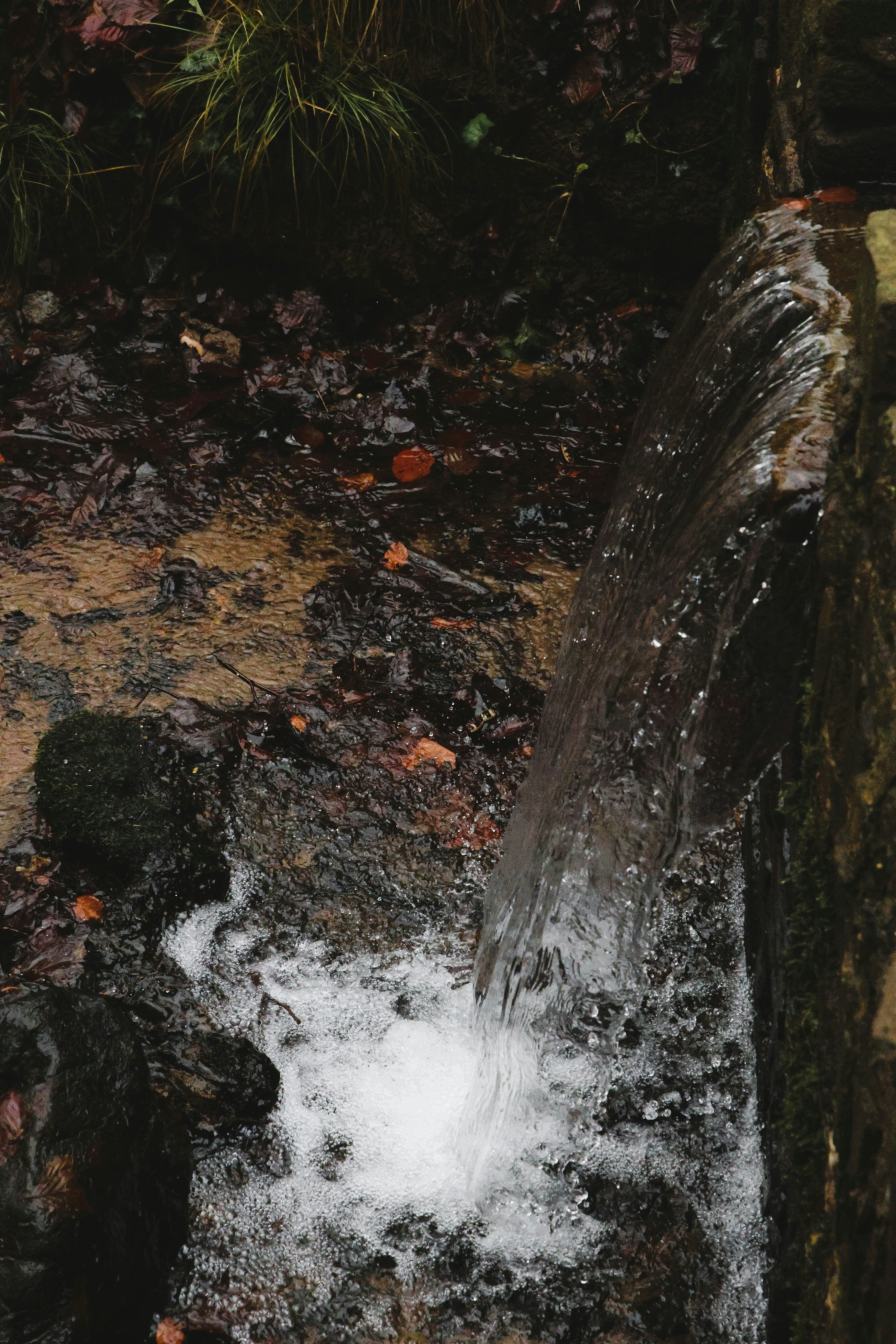 Cascade Veil over Dark Moss: A Quiet Stream in Shadowed Rock