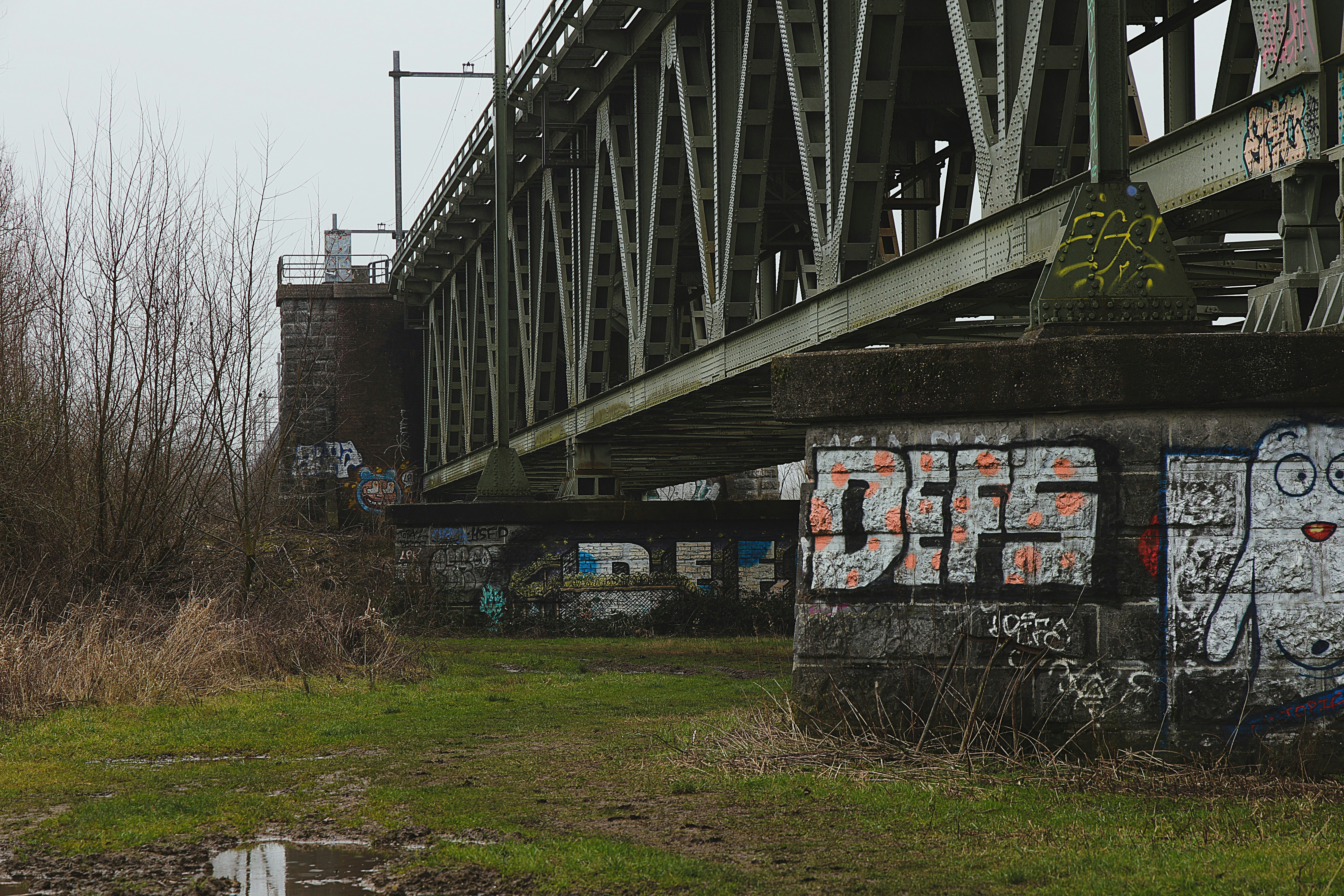 Graffiti-Graze Under the Steel Span