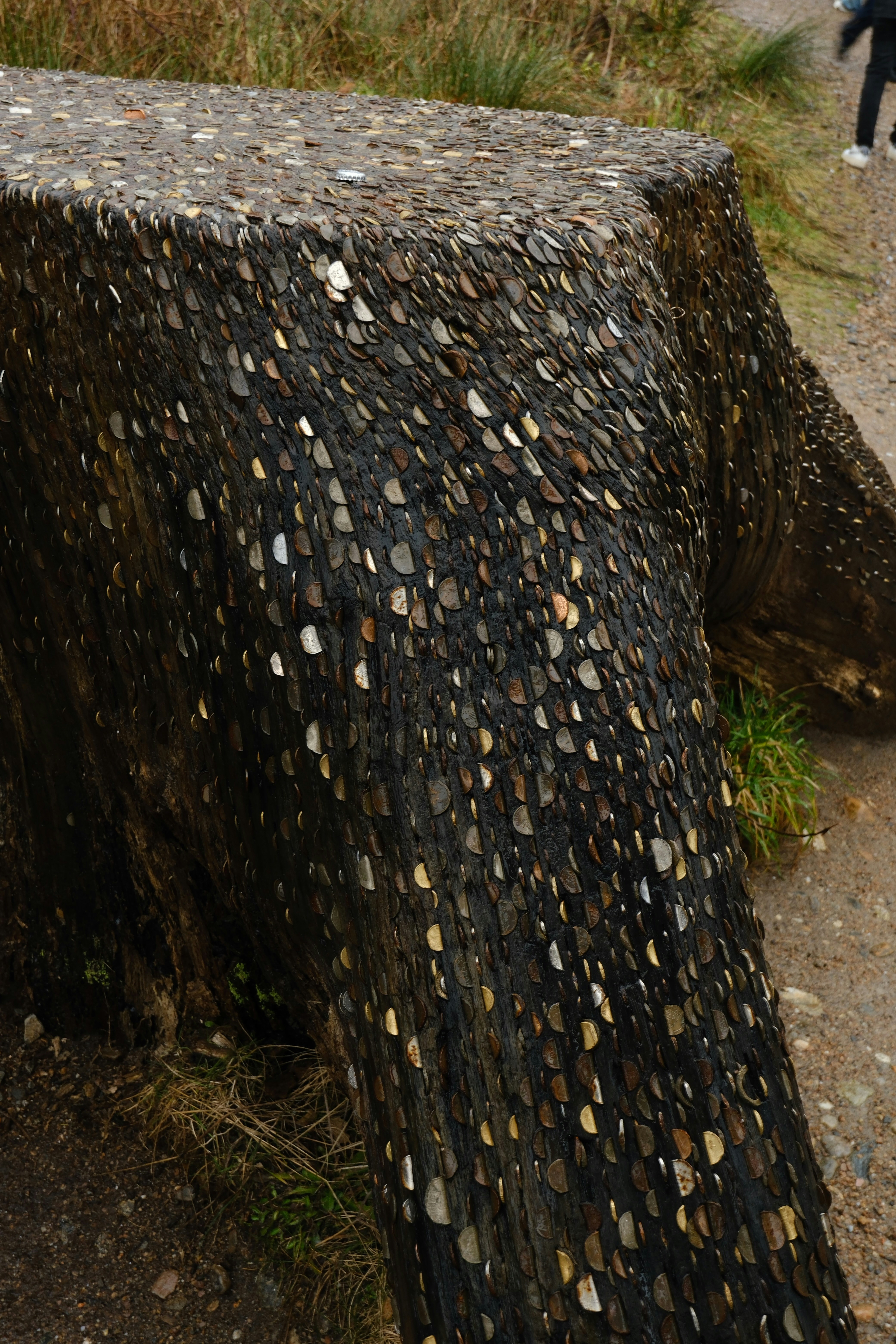 Tree stump covered in coins with grassy background