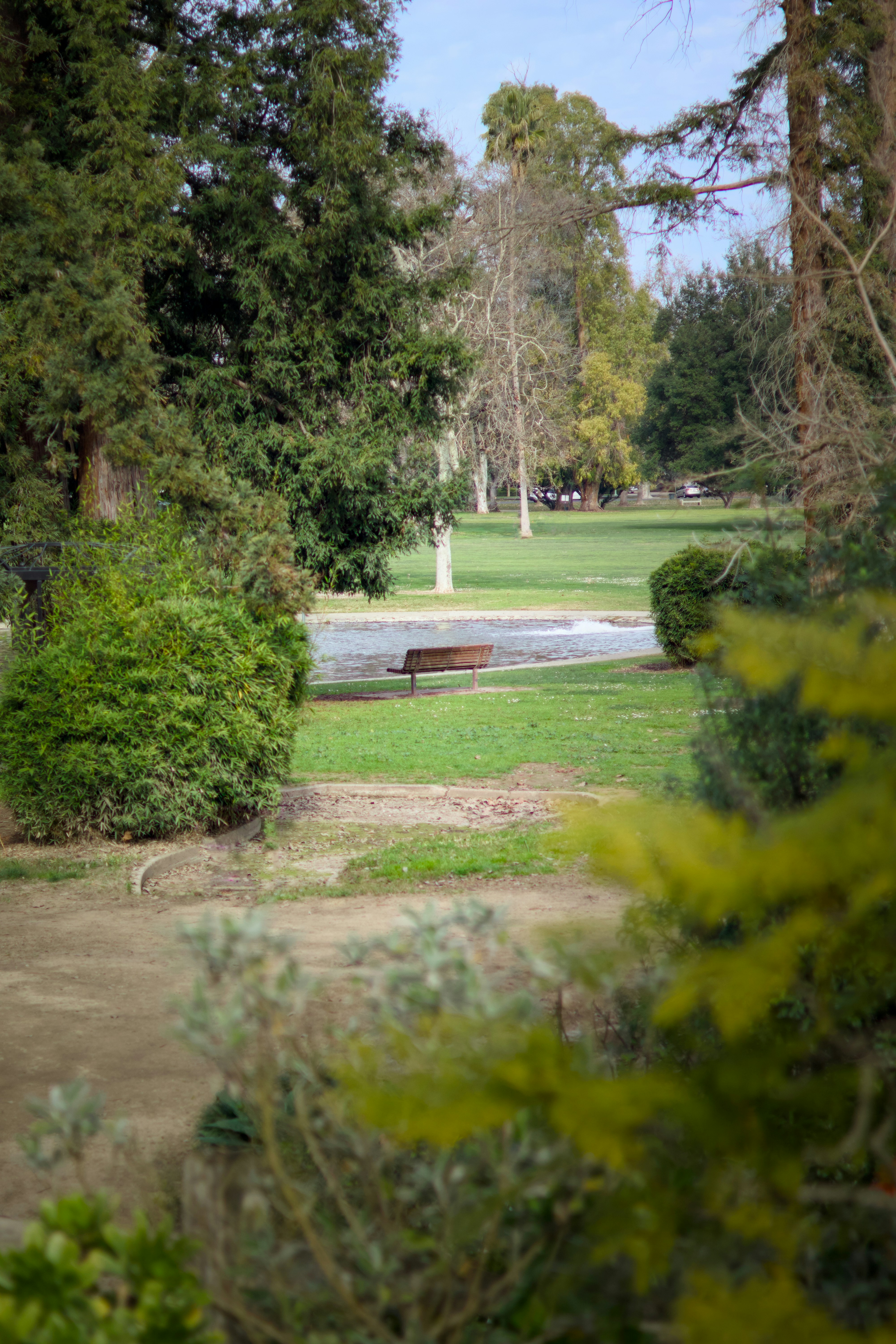 Quiet Park Vista with a Distant Bench by the Water
