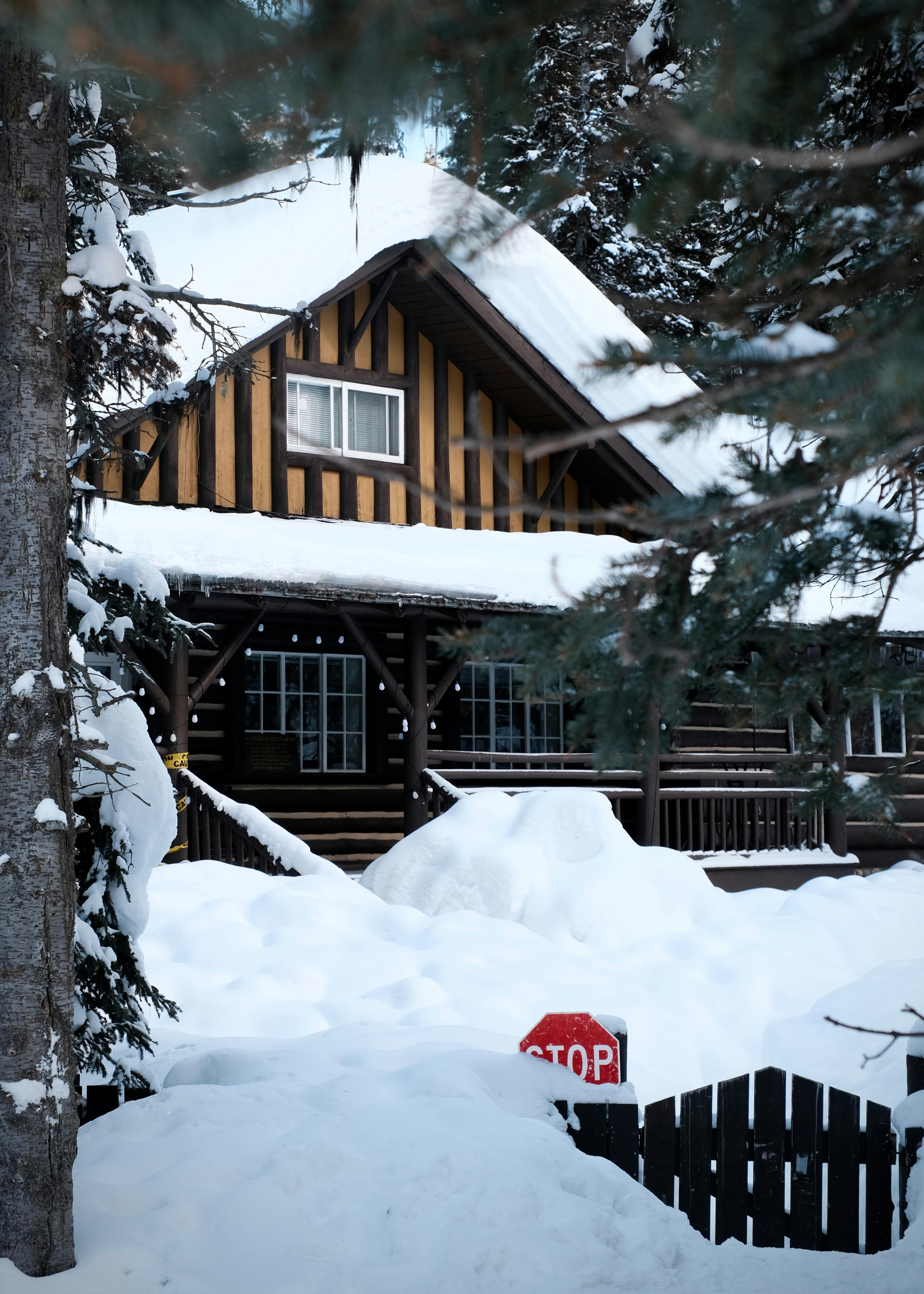 Snowbound Chalet Framed by Evergreen Veils
