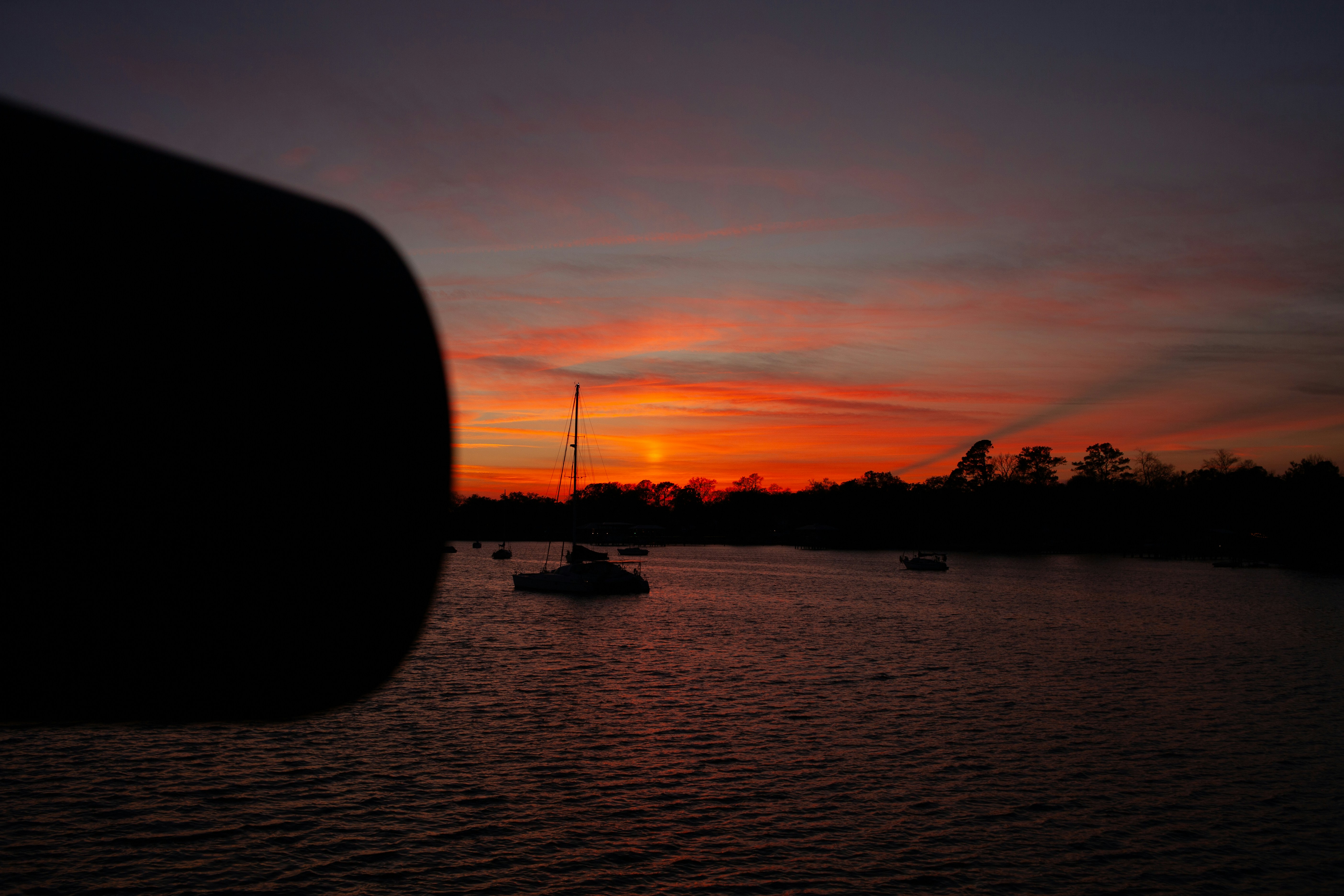 Dusk Over the Puget Sound: Boats and a Silhouetted Foreground
