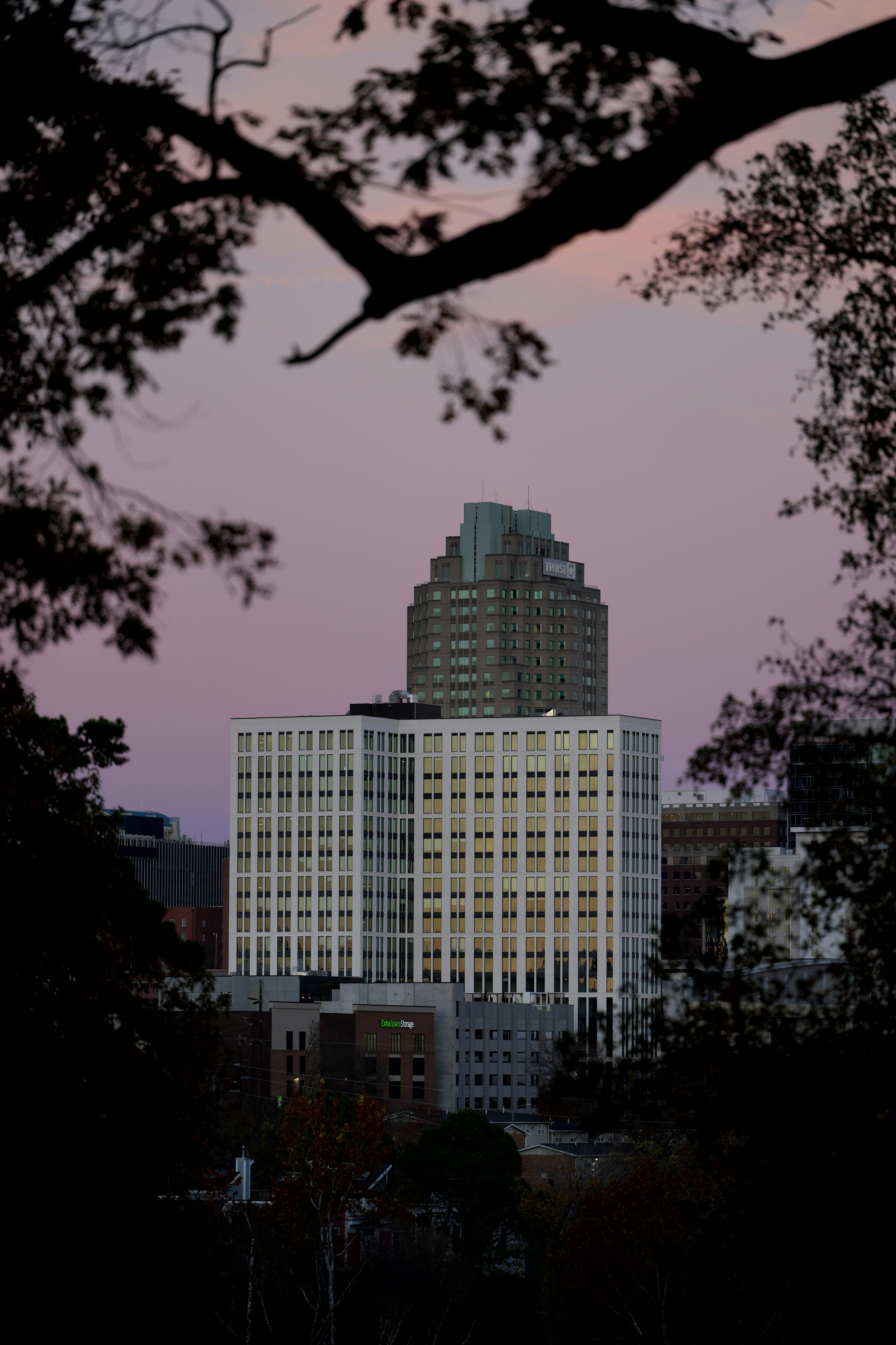 Urban Pinnacle at Dusk: A Tower Emerges Through Arbor Carvings