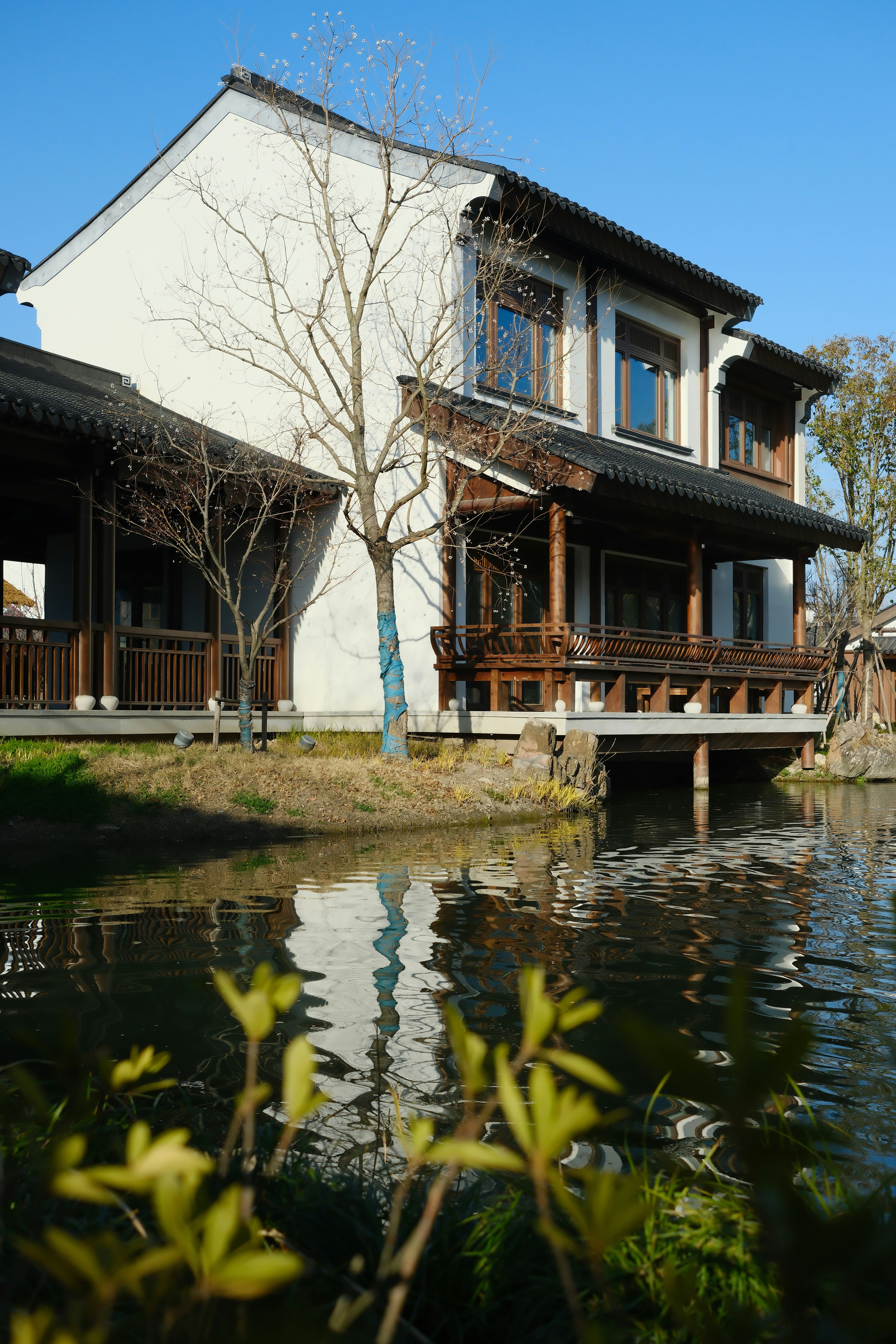 Waterside Pavilion: A House by the Quiet Canal