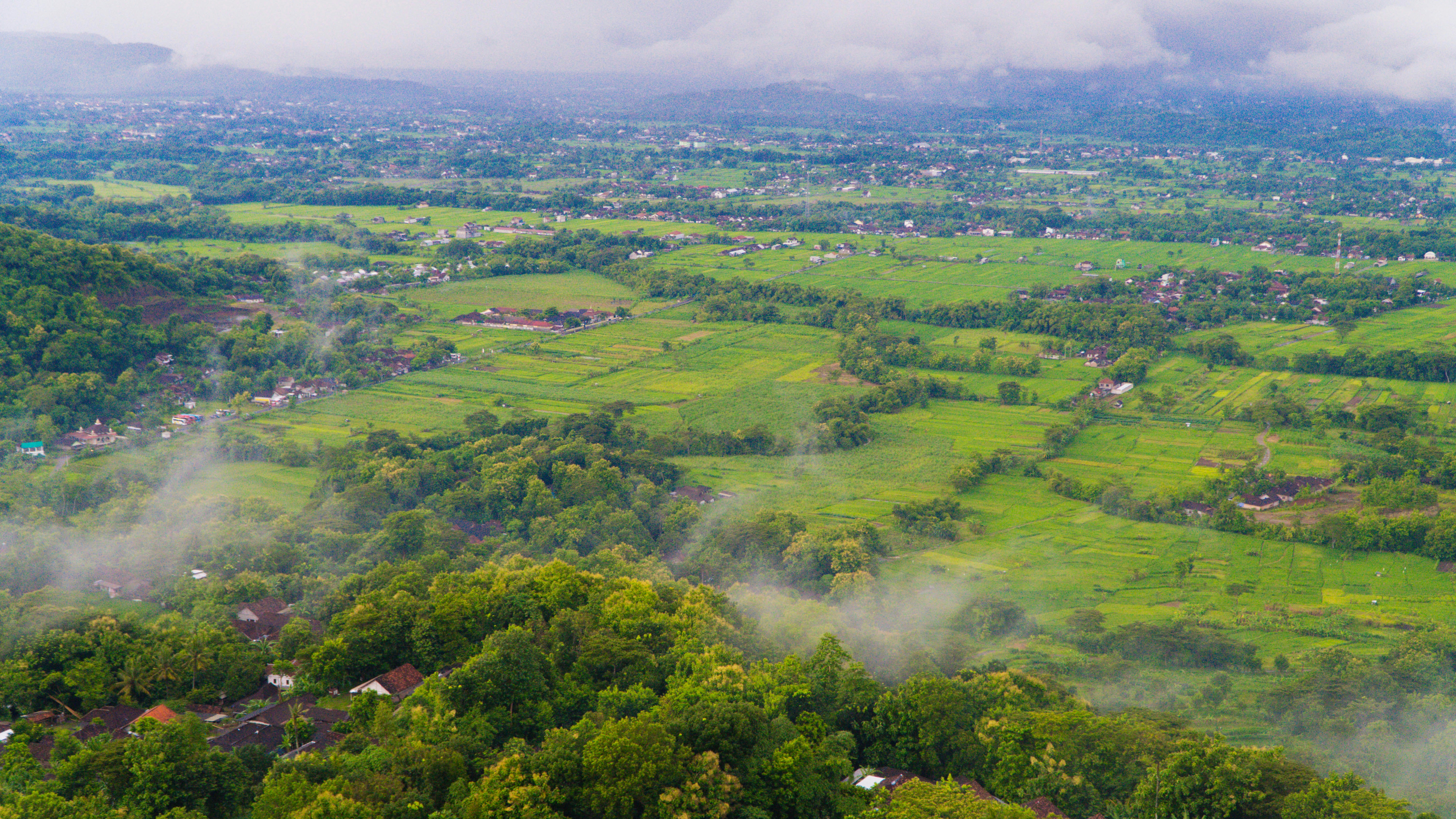 Mist over Patchwork Fields: A Green Horizon from Above