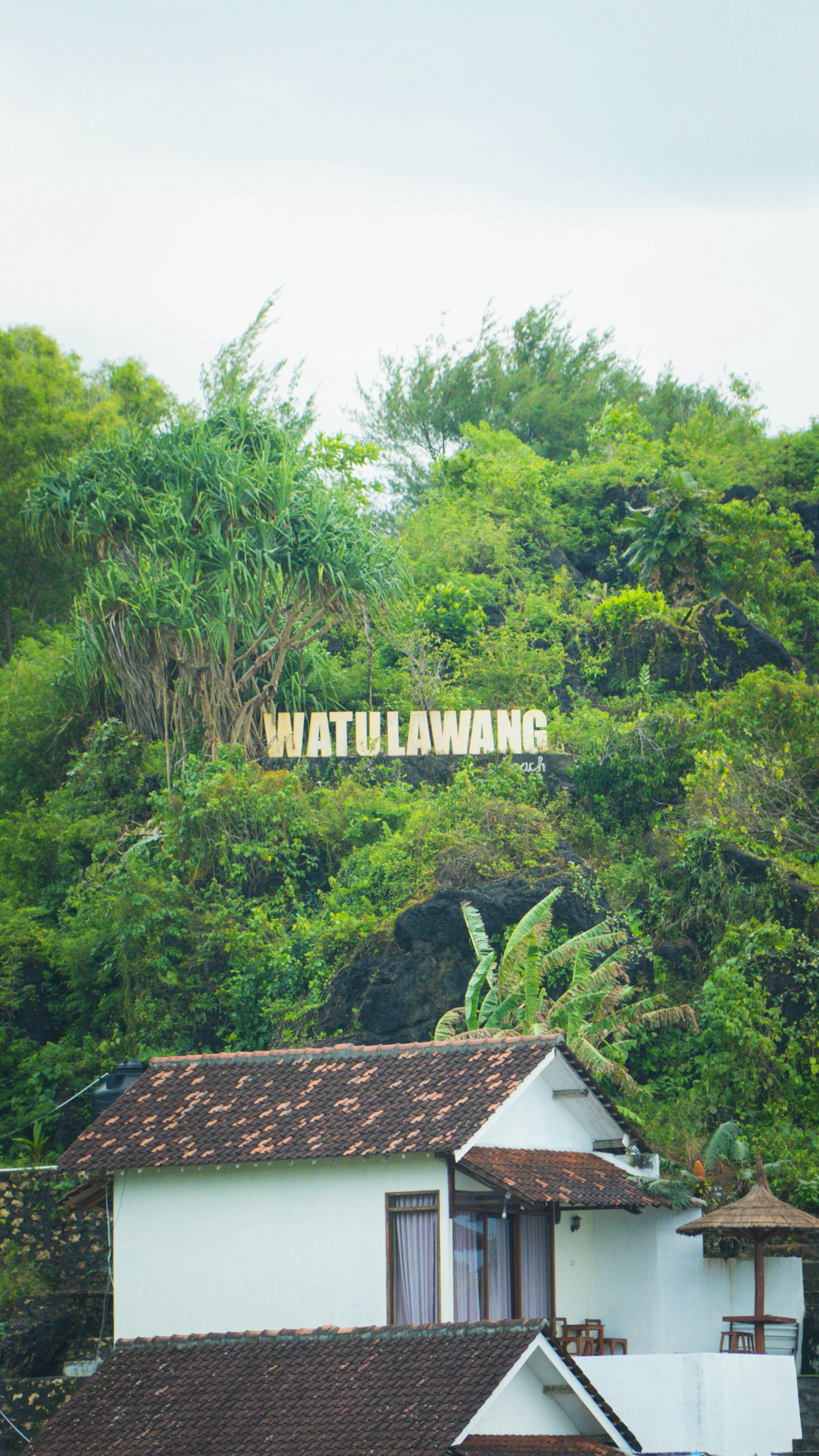 Signage on the Green Cliffs: Watulawang Above a Quiet Terrace