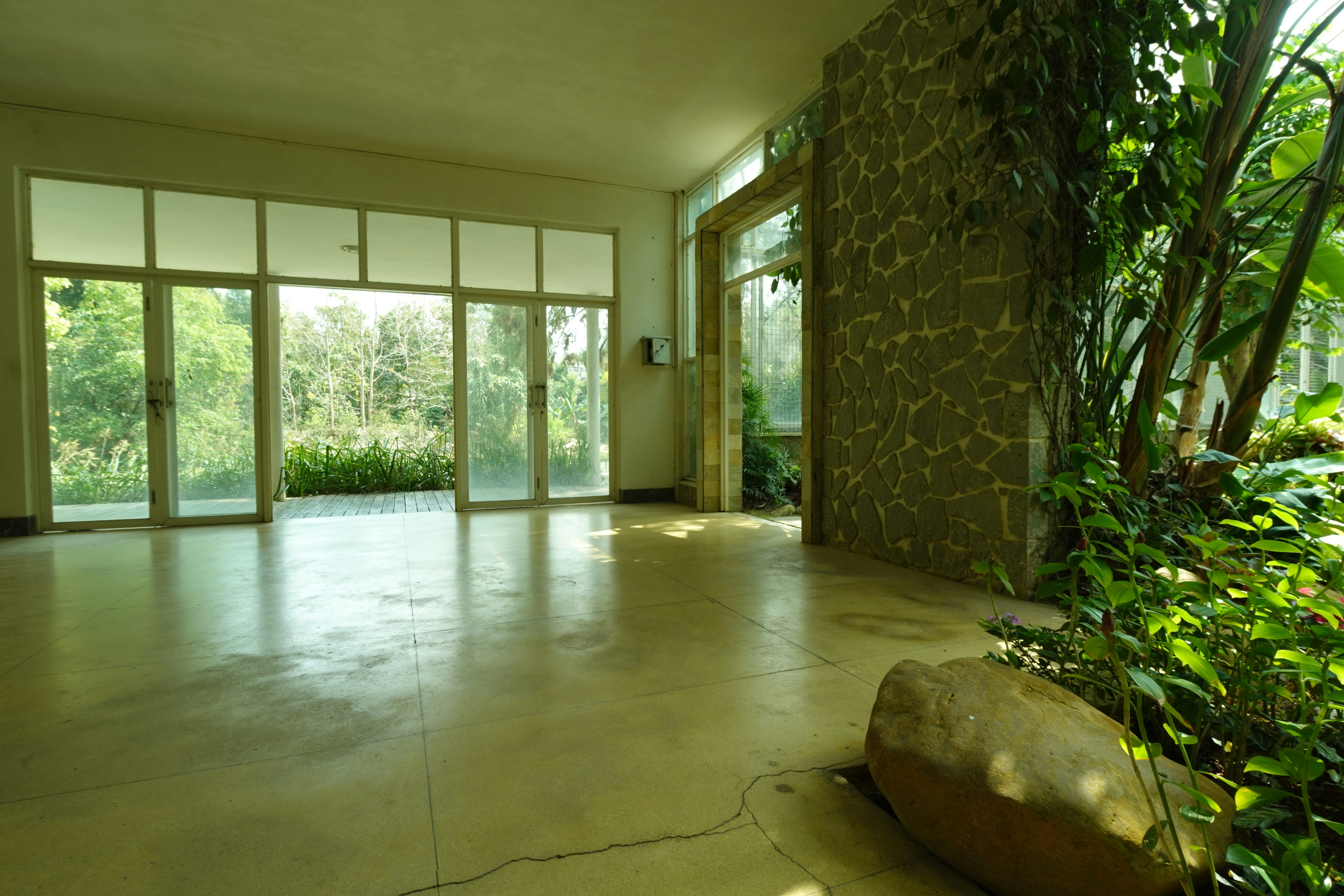 Empty room with large windows and lush greenery