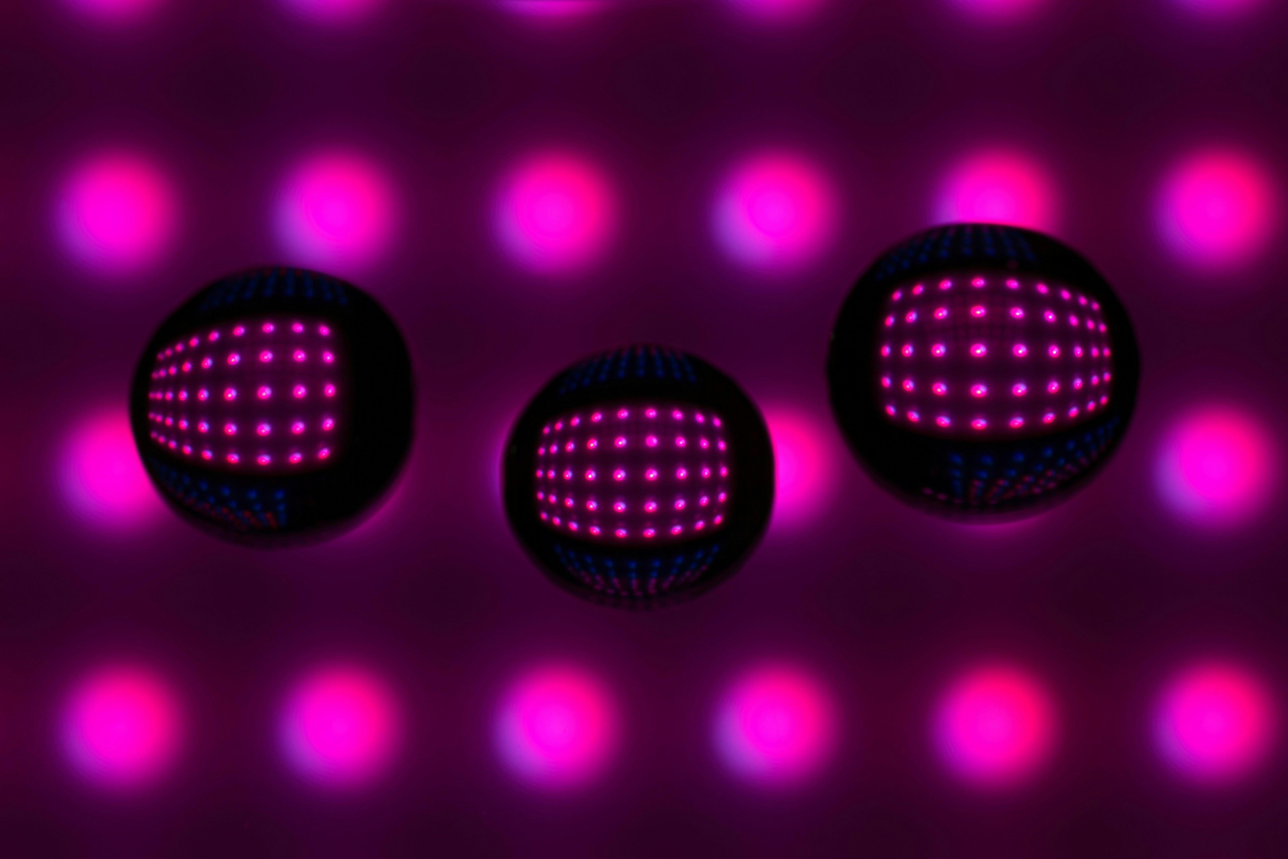 Neon Orbs in a Velvet Matrix
