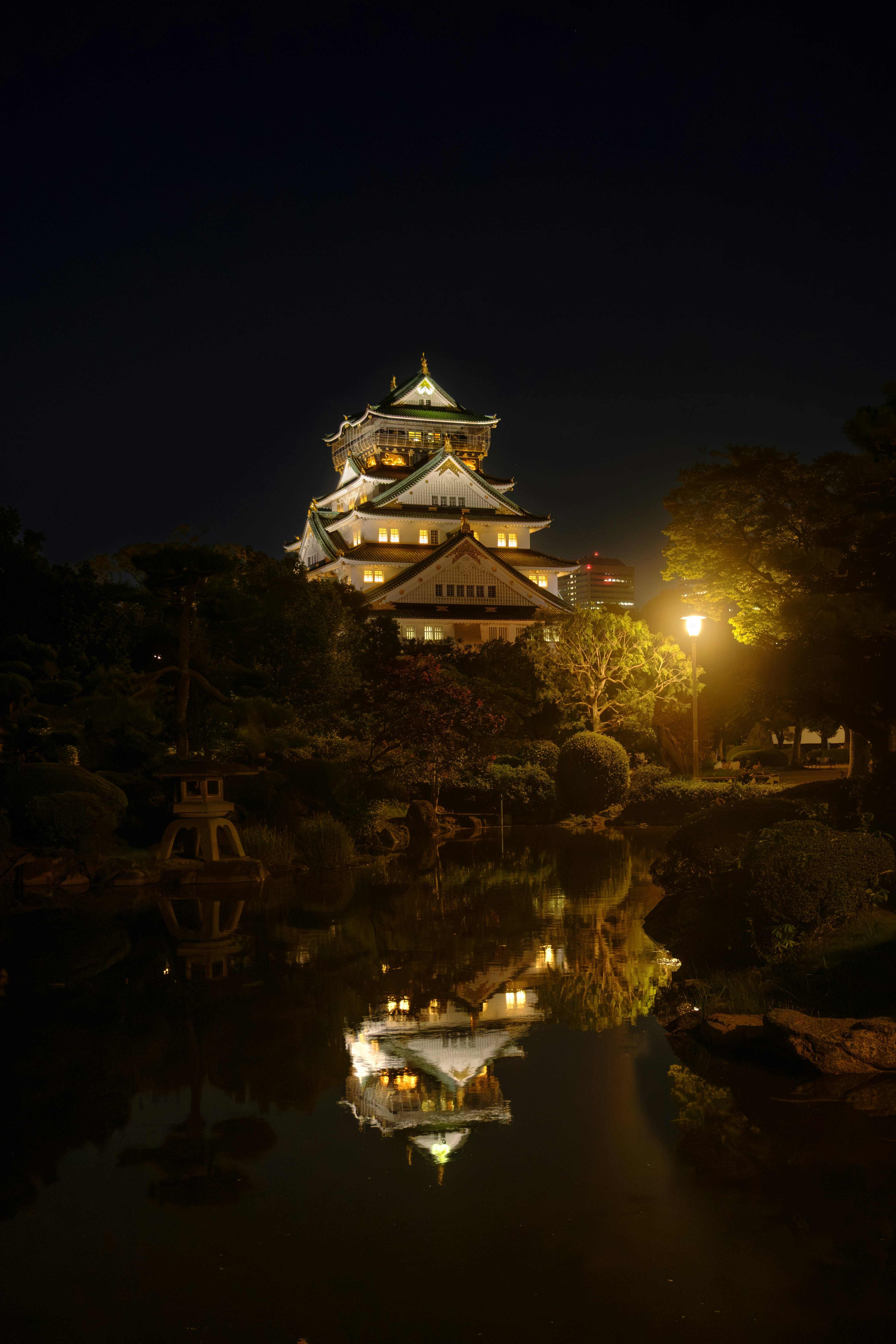 Moonlit Castle: Nighttime Reflection at the Japanese Keep