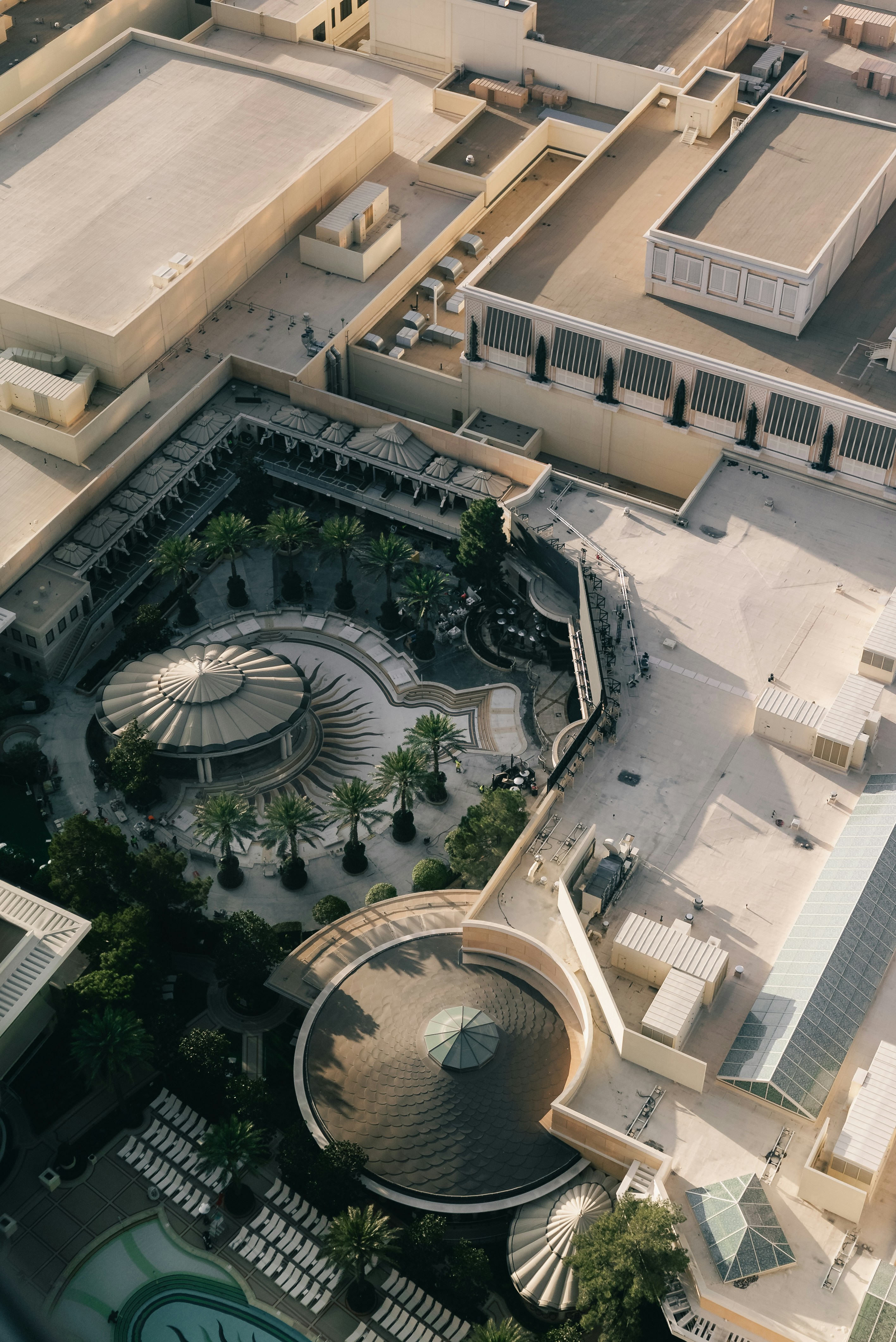Aerial Courtyard Mosaic: Palm Courtyard Below a Concrete Skyline
