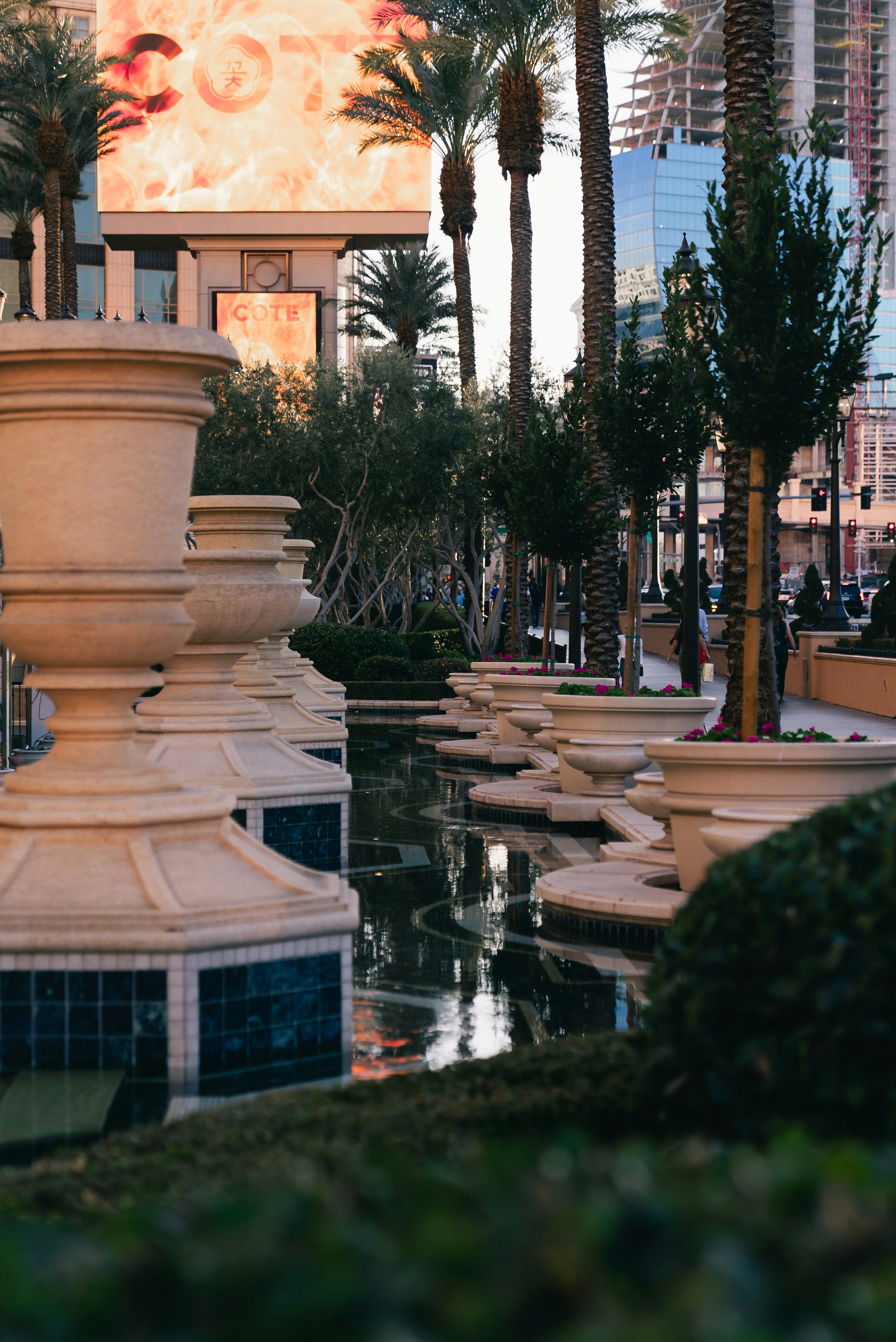 Deserted Oasis: Symmetry of Columns and Night-Blooming Palm Grove