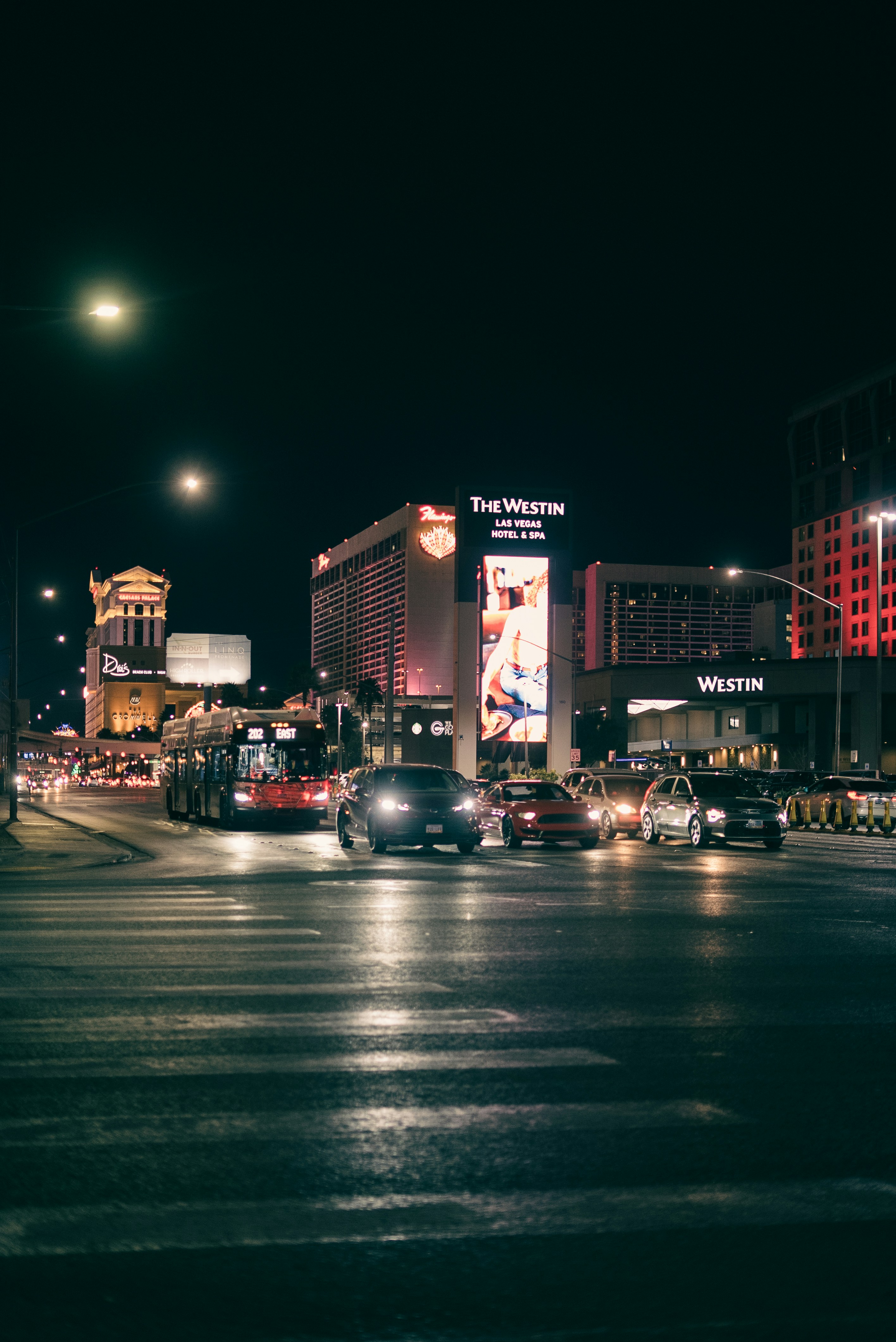 Neon Pulse on Las Vegas Boulevard