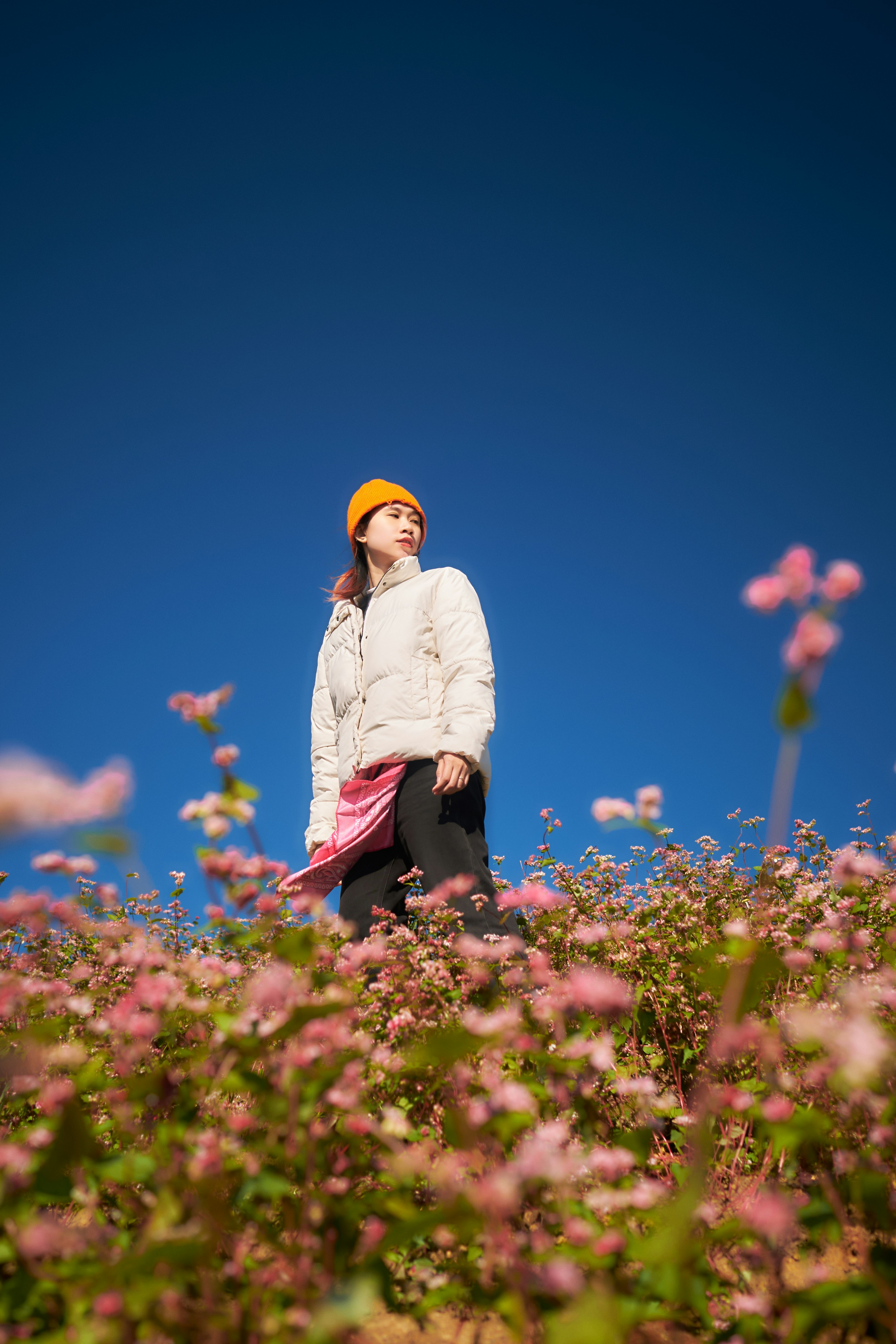 Field of Pink Whispers under a Golden Beanie