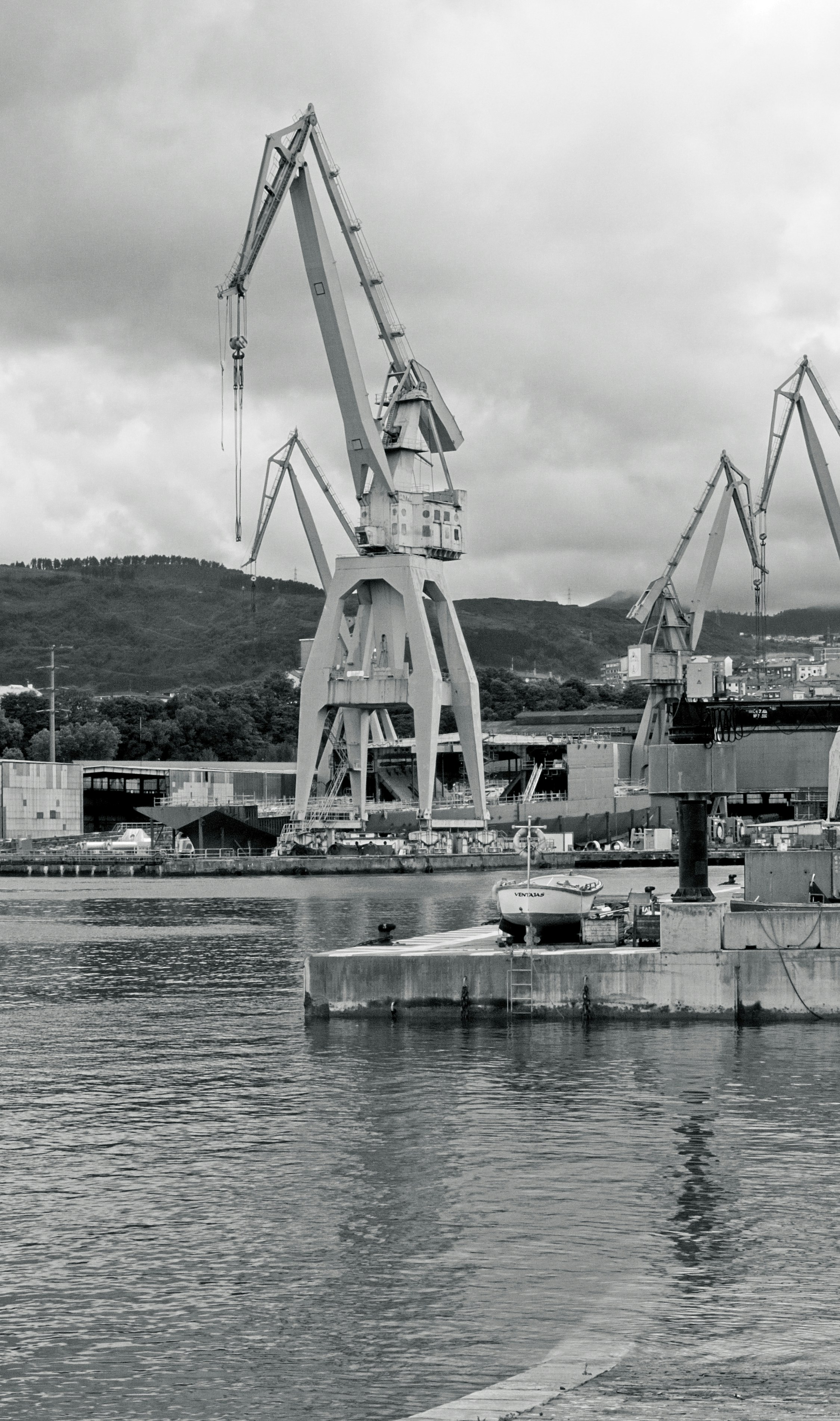 Industrial Giants at Dusk: A Harbor Crane Silhouette