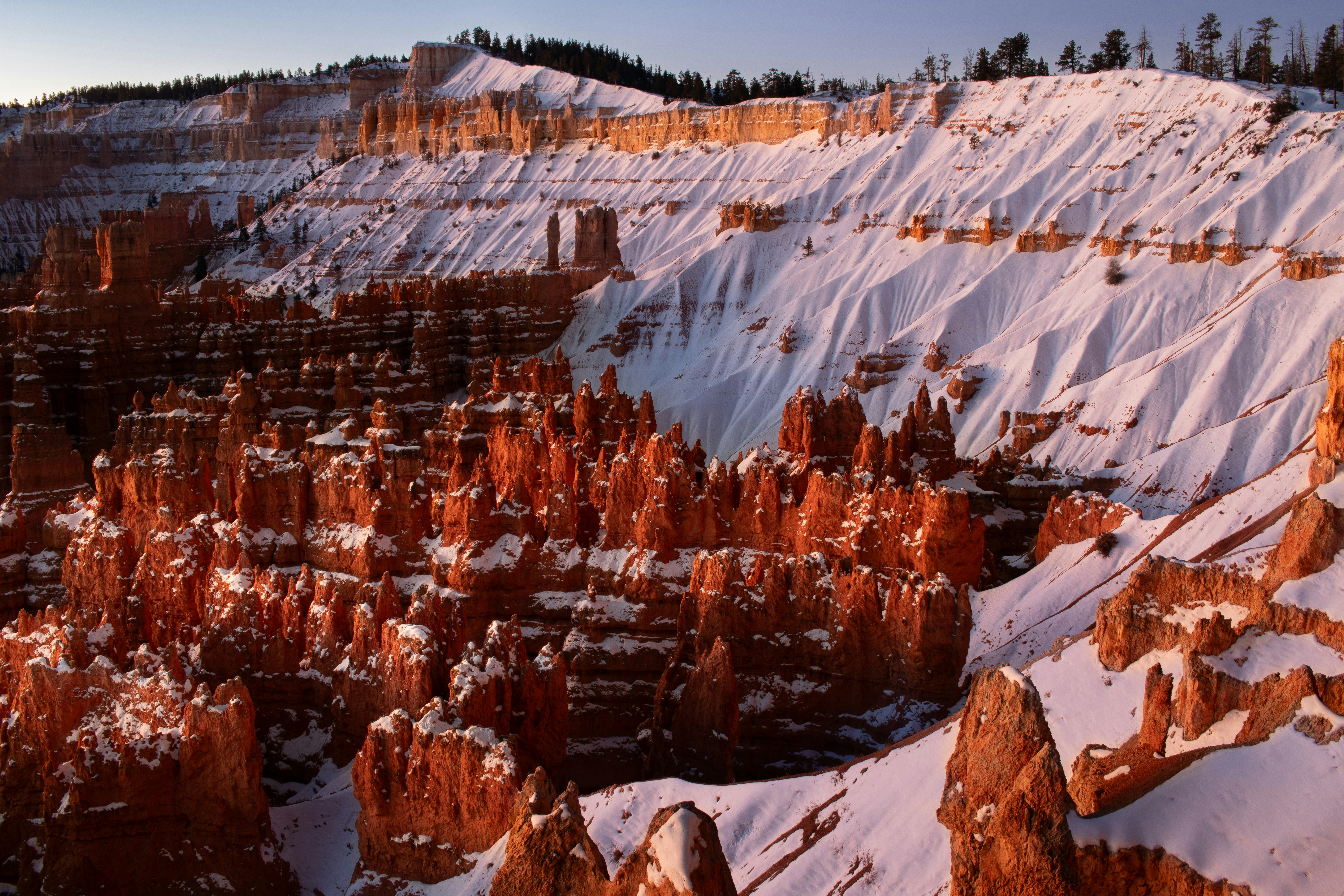 Red Canyon Echoes: Snow-Capped Cliffs Beneath a Winter Sky