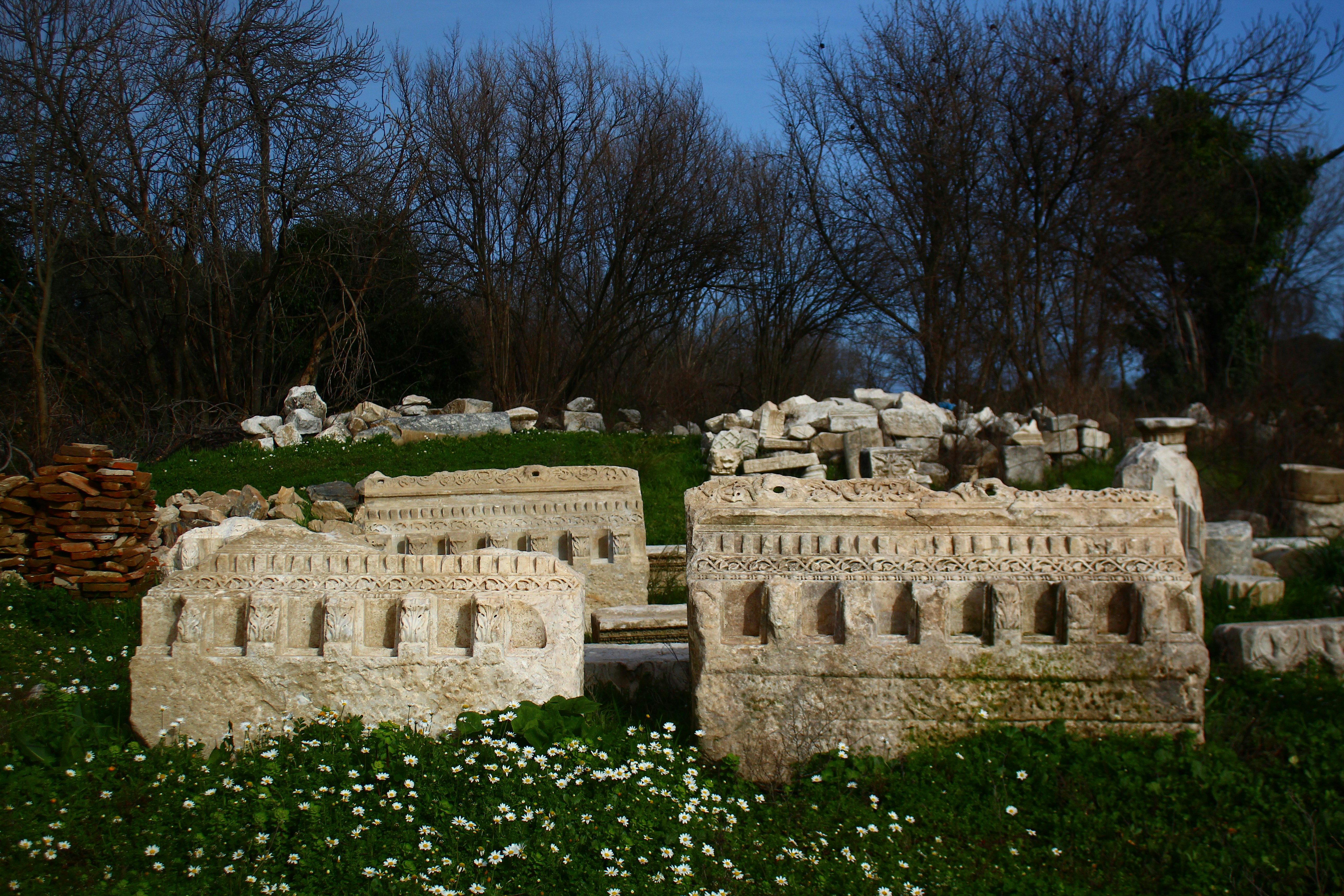 Ancient Stones in Bloom: Ruins Resting in a Meadow