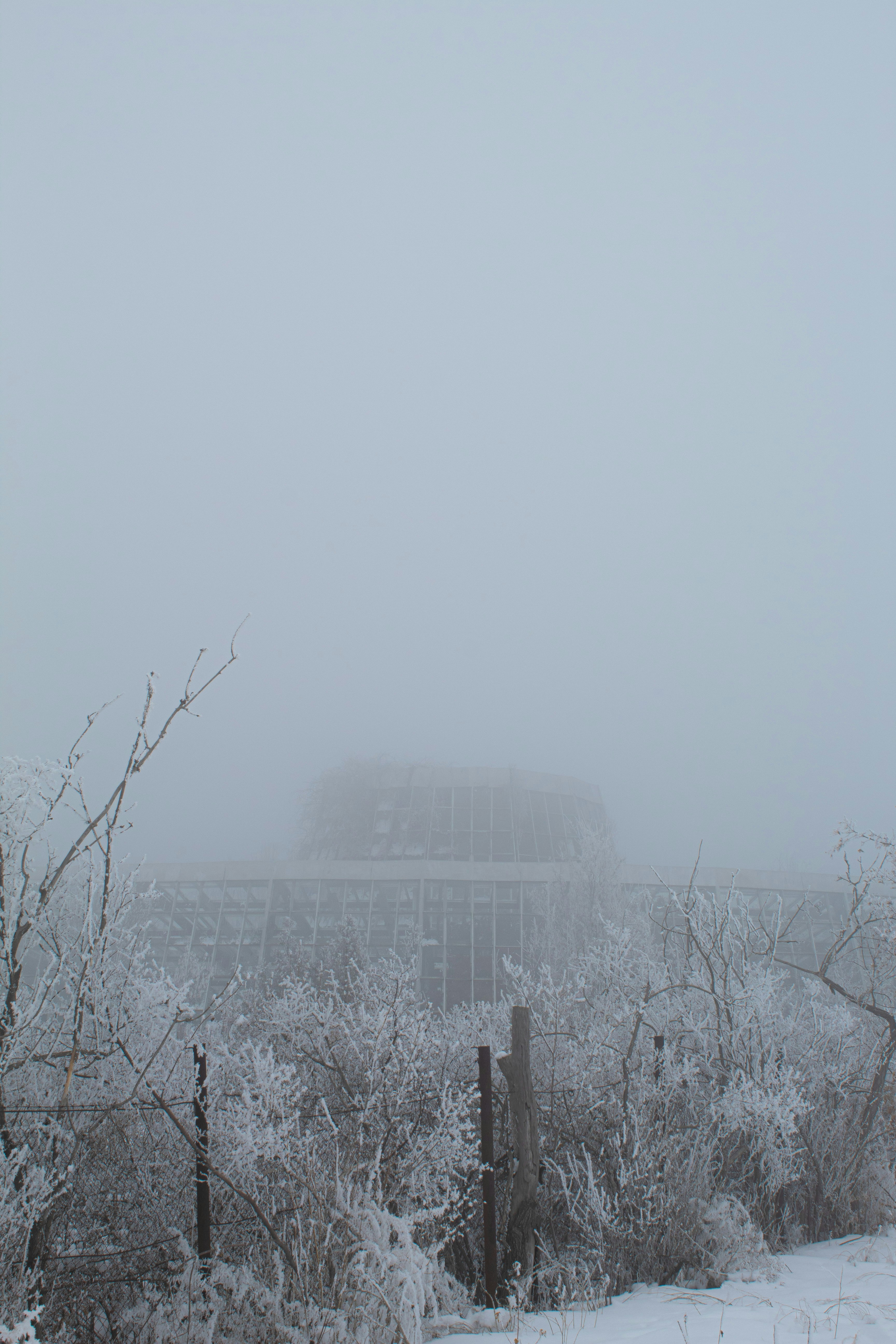 Fogged Conservatory: Frosted Silhouette Behind a Winter Garden