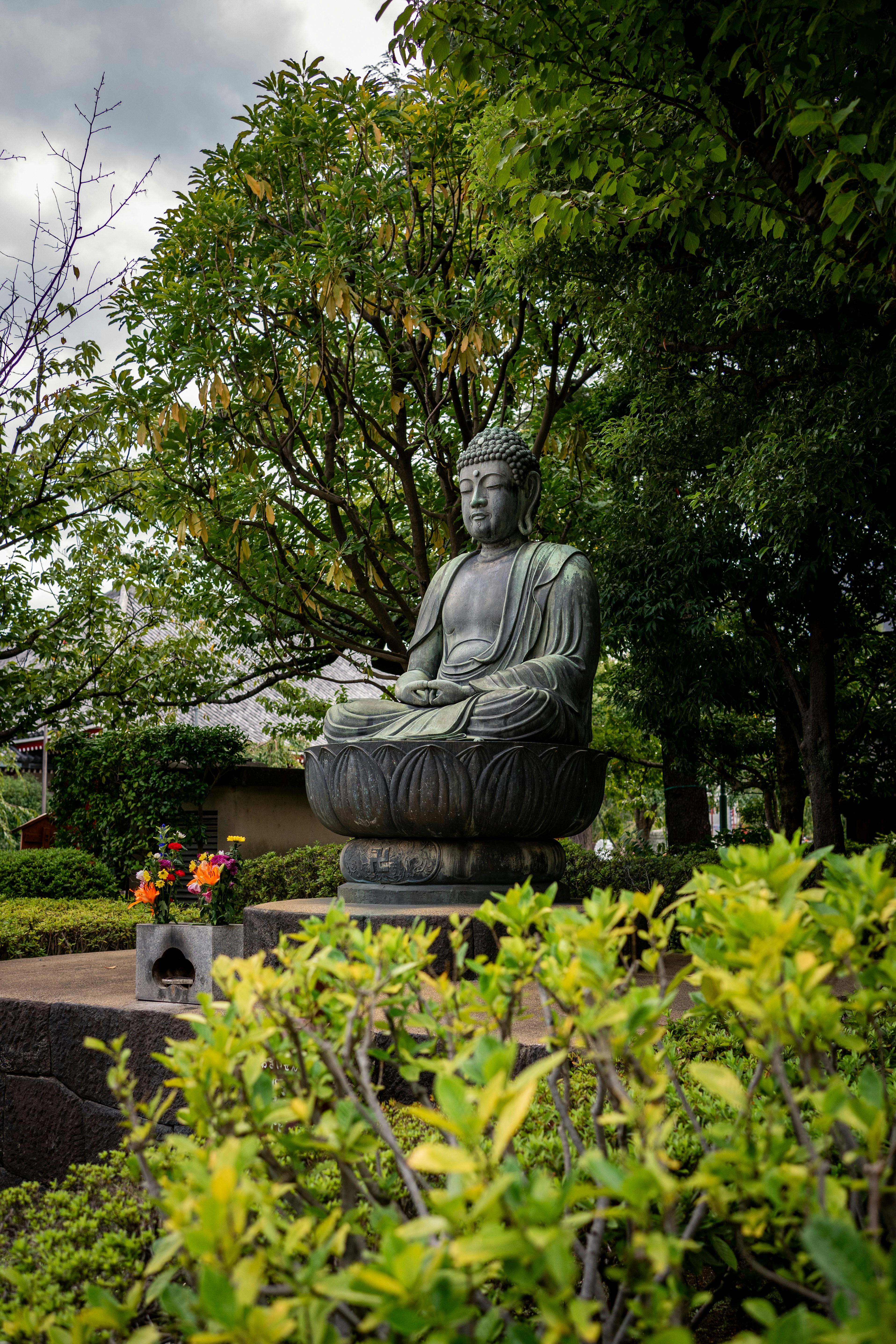  meditative guardian: a Buddha statue framed by garden greens