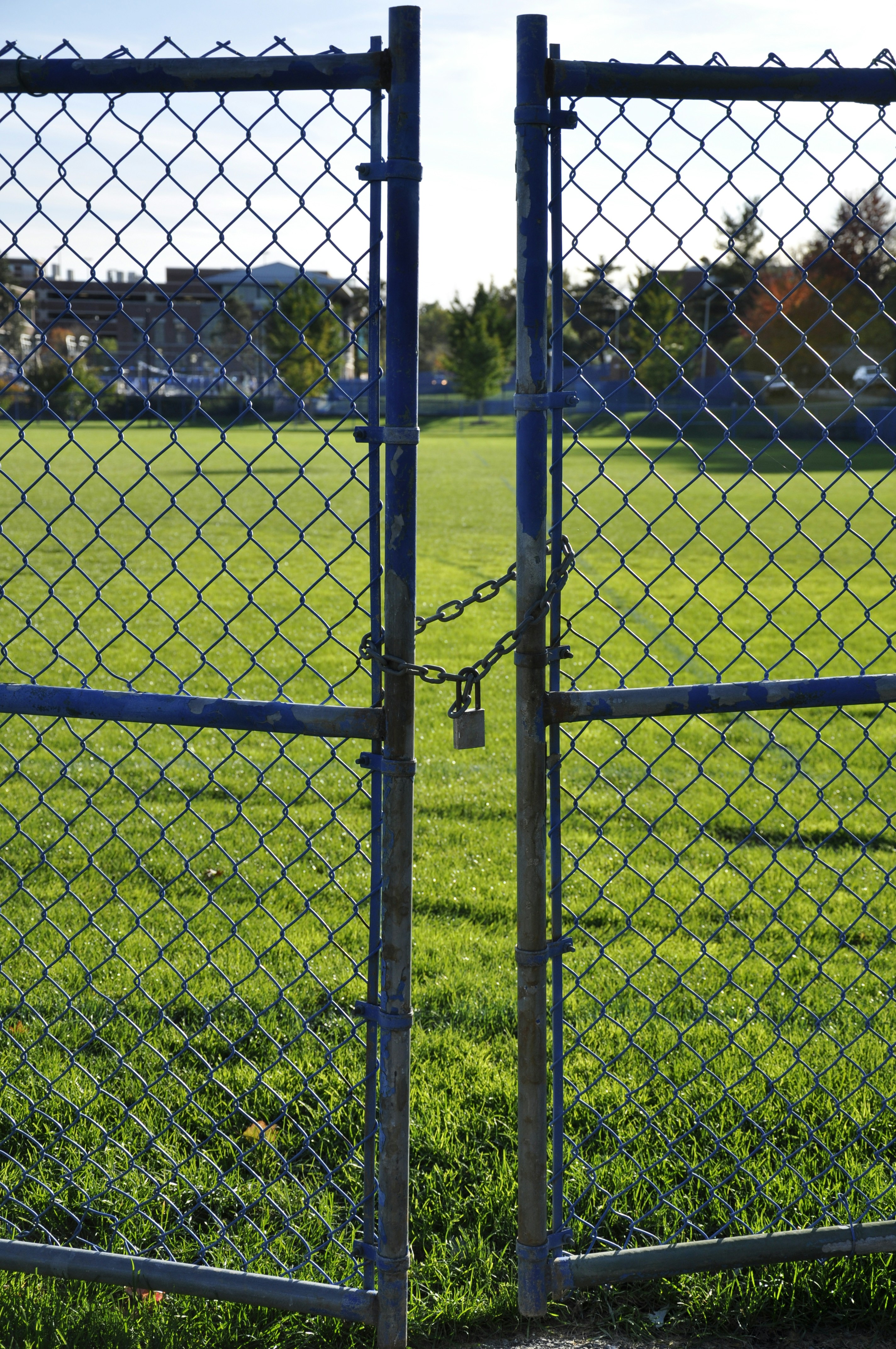 Unlocked gates: a sunlit field of green behind a chain-link barrier