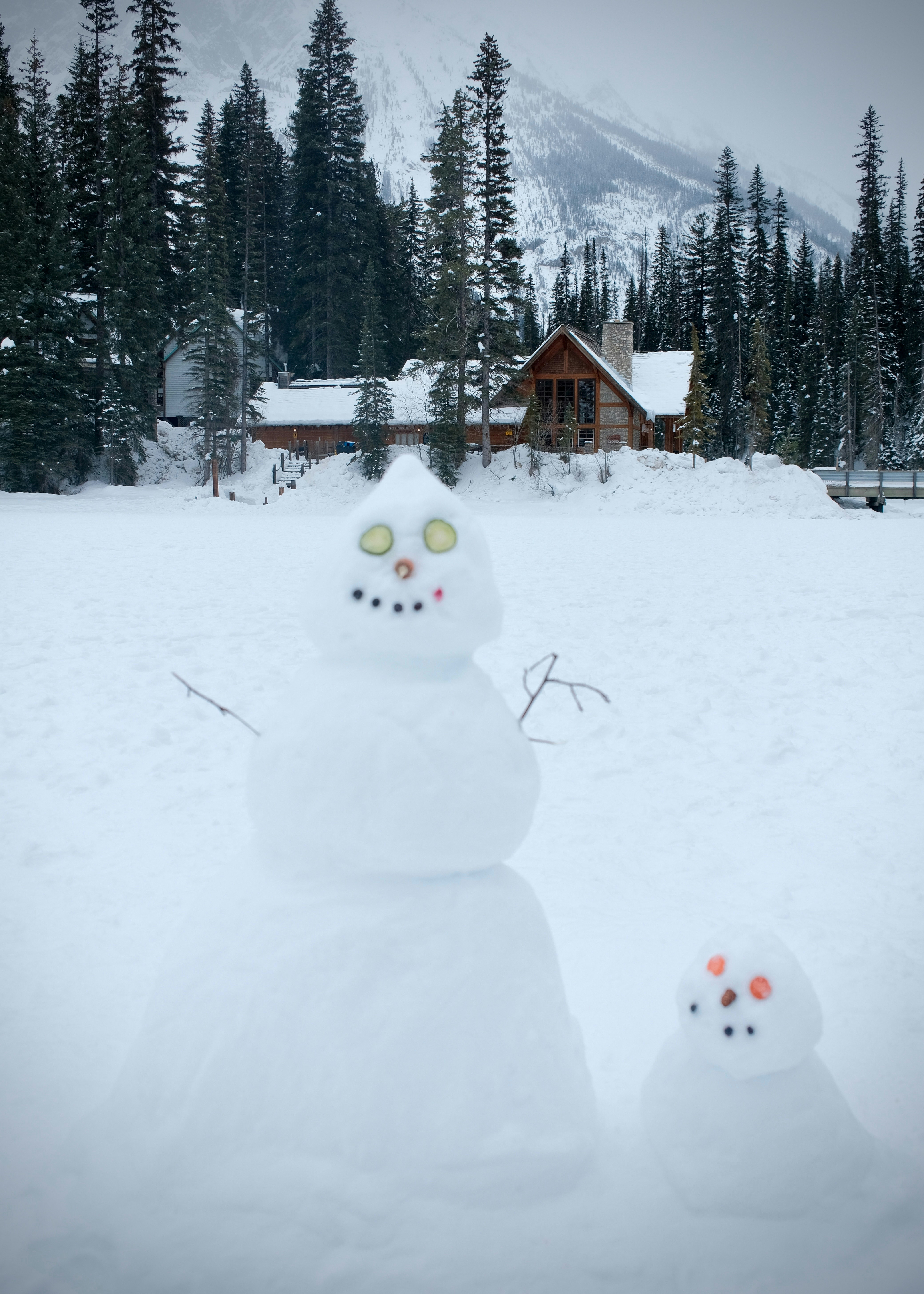 Snowman Duo Beneath the Mountain Pines