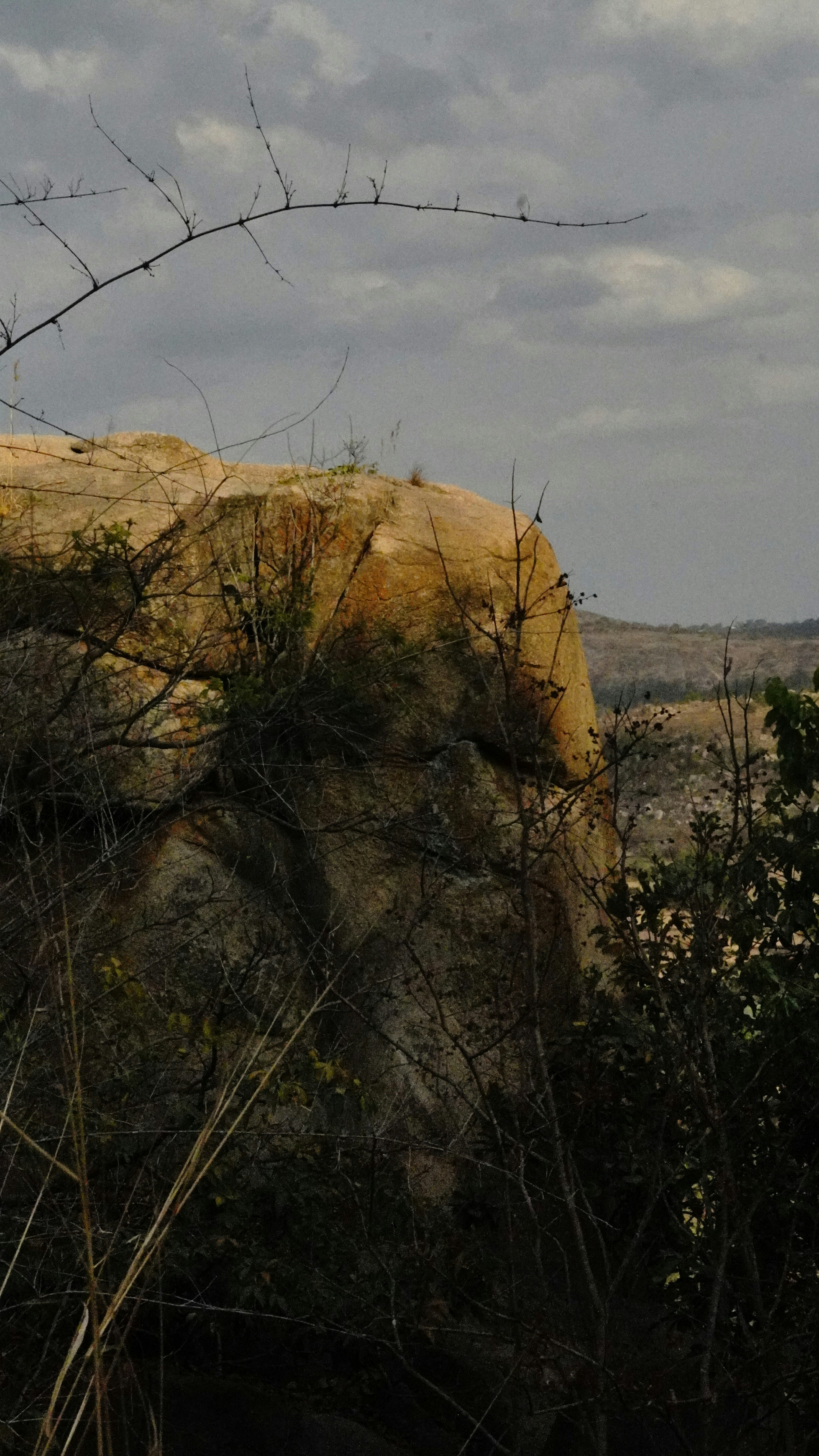 Weathered sandstone outcrop at the edge of a desert scrub