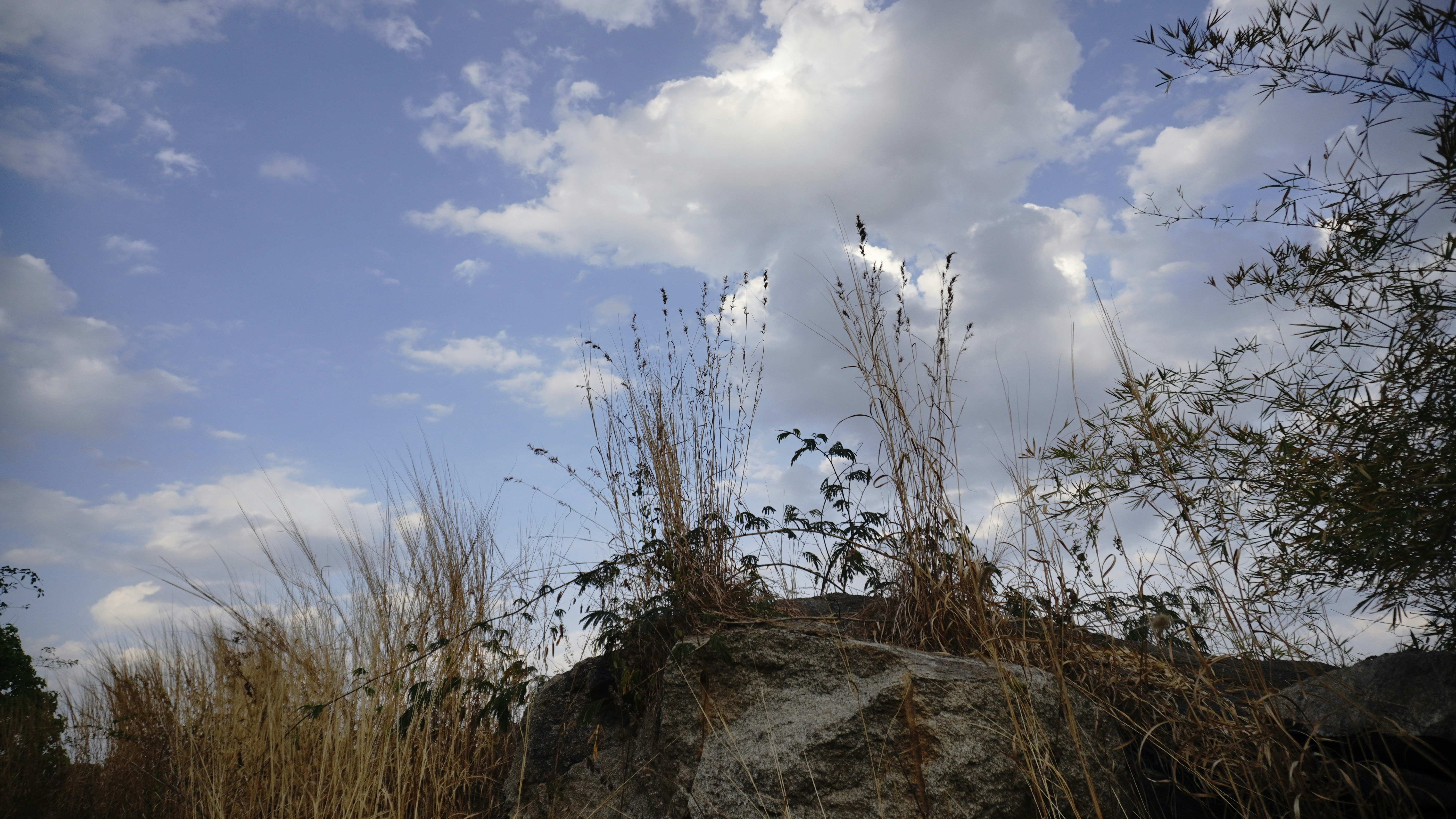 Cloudy Sky over Weathered Brush: A Quiet Ridge