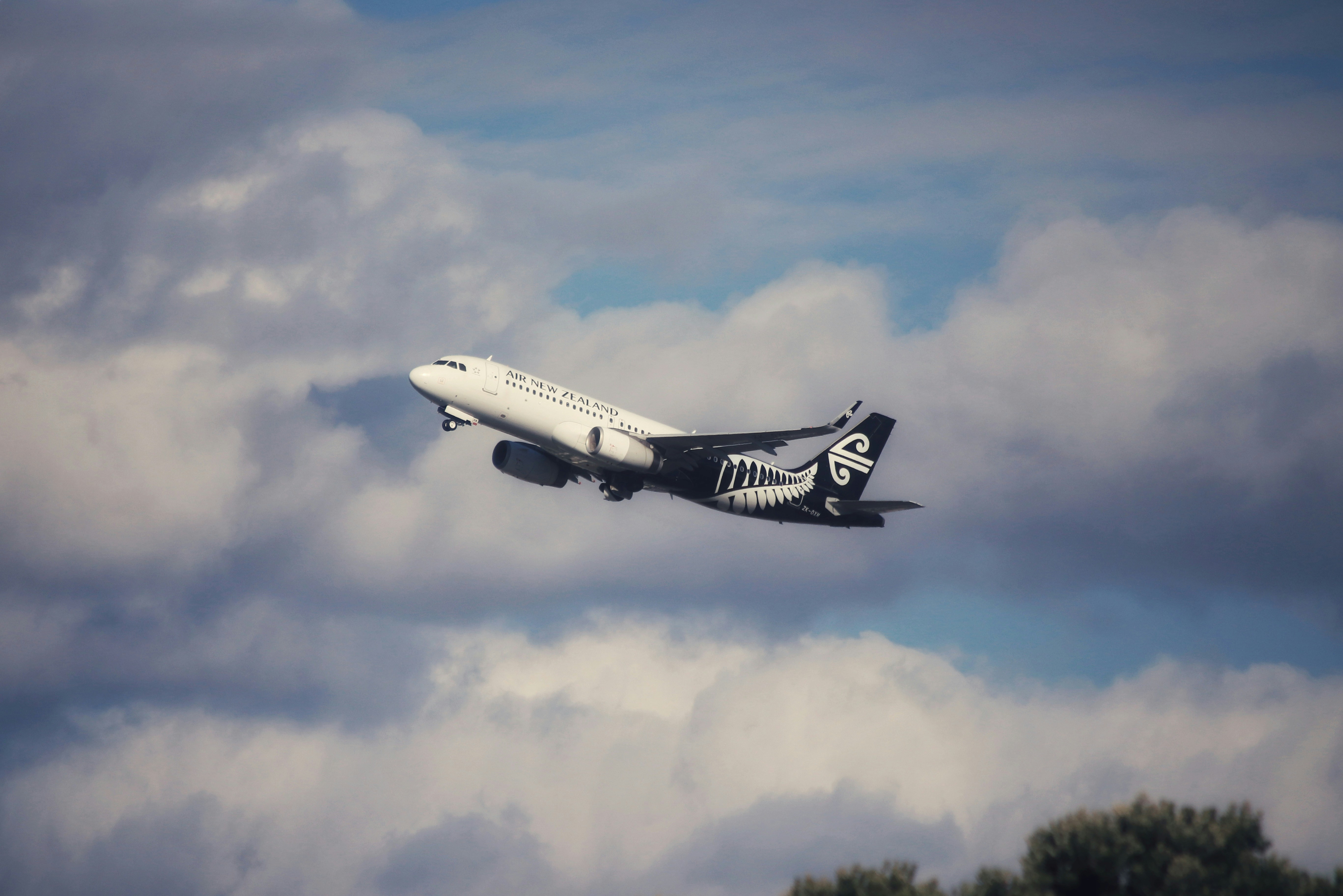 Blue Skies, White Tail: A Boeing in Graceful Ascent