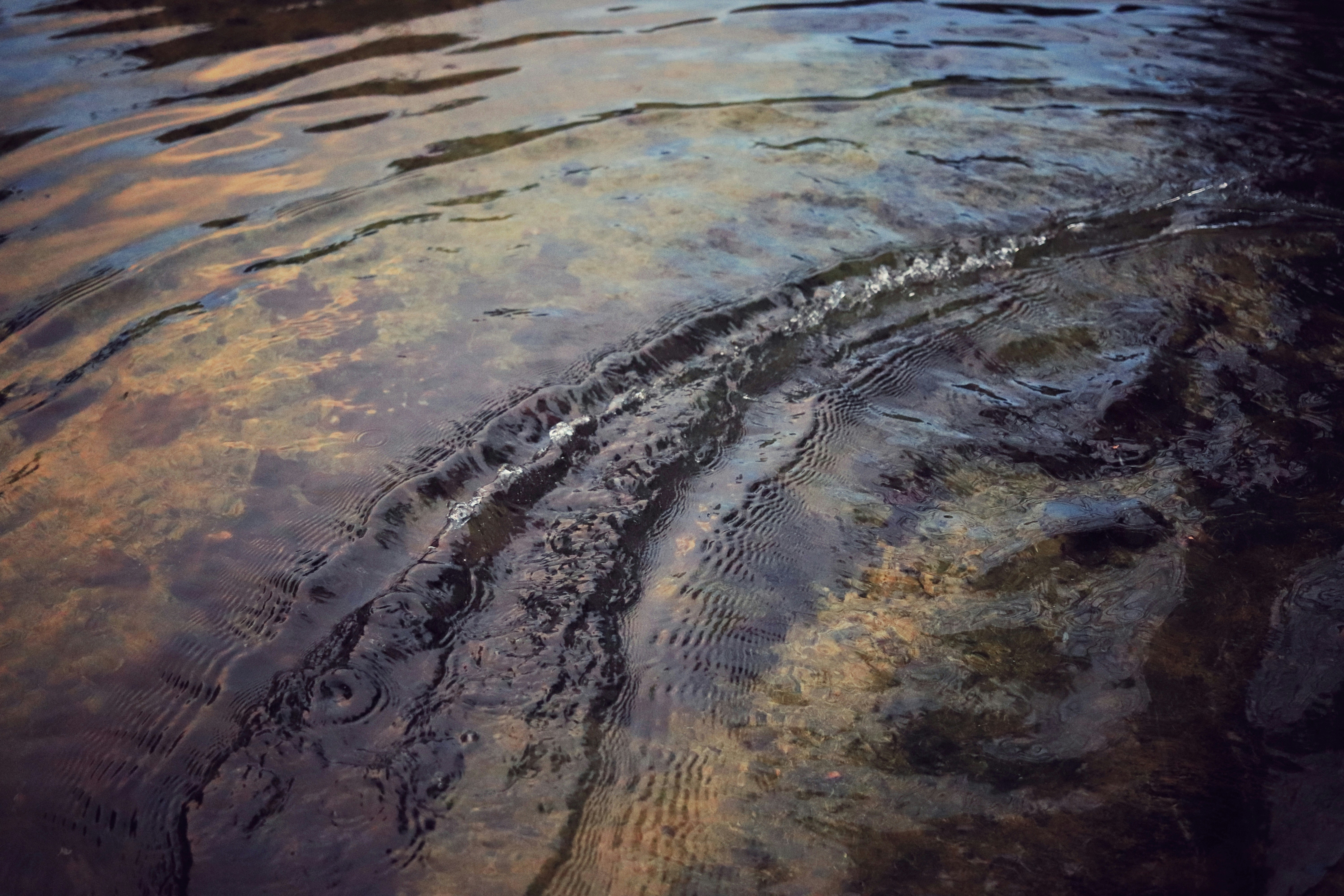 Rippled Tidelines in Shallow Sunset Waters