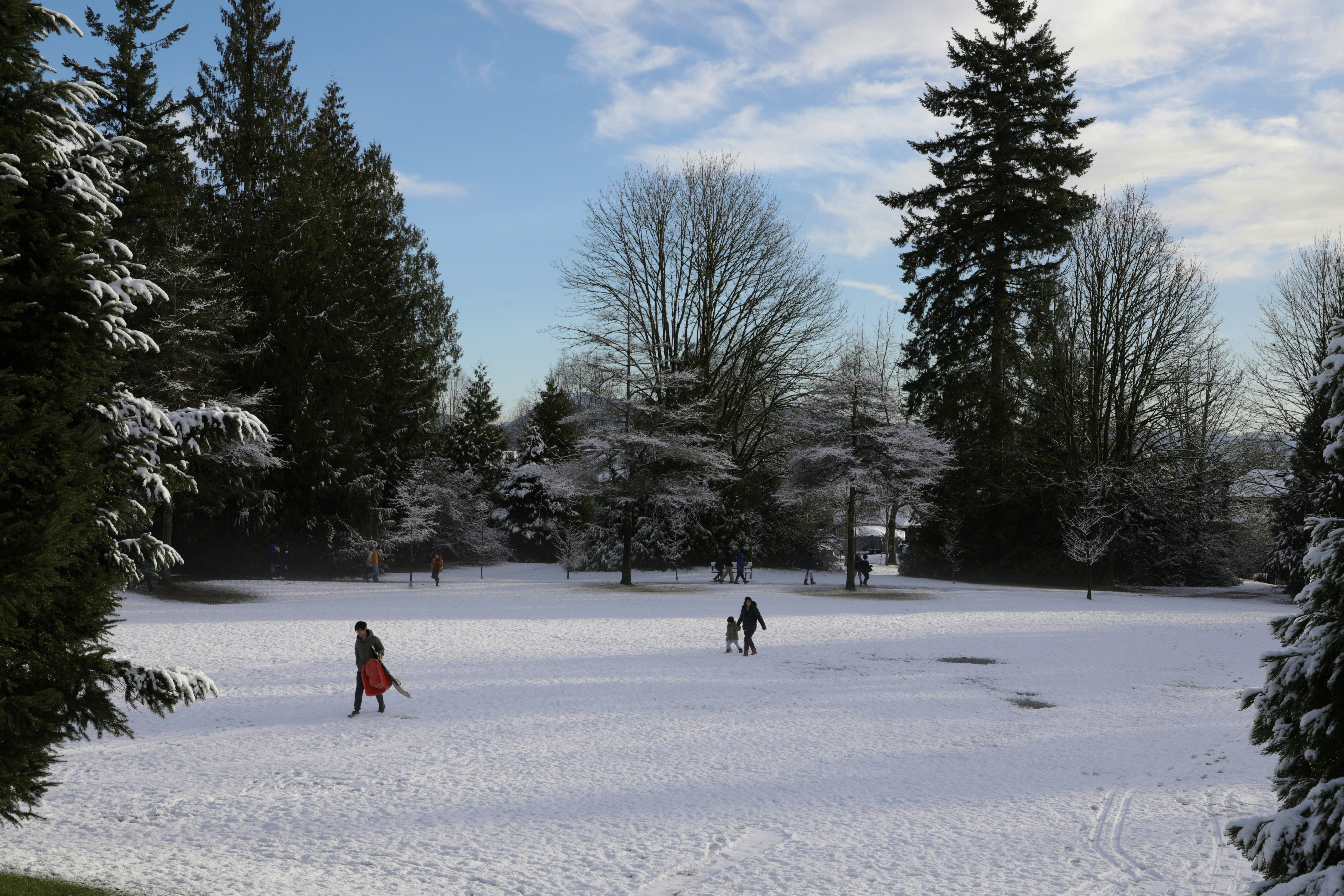 Winter Park: Skaters and walkers Traversing a Snow-blanketed Clearing