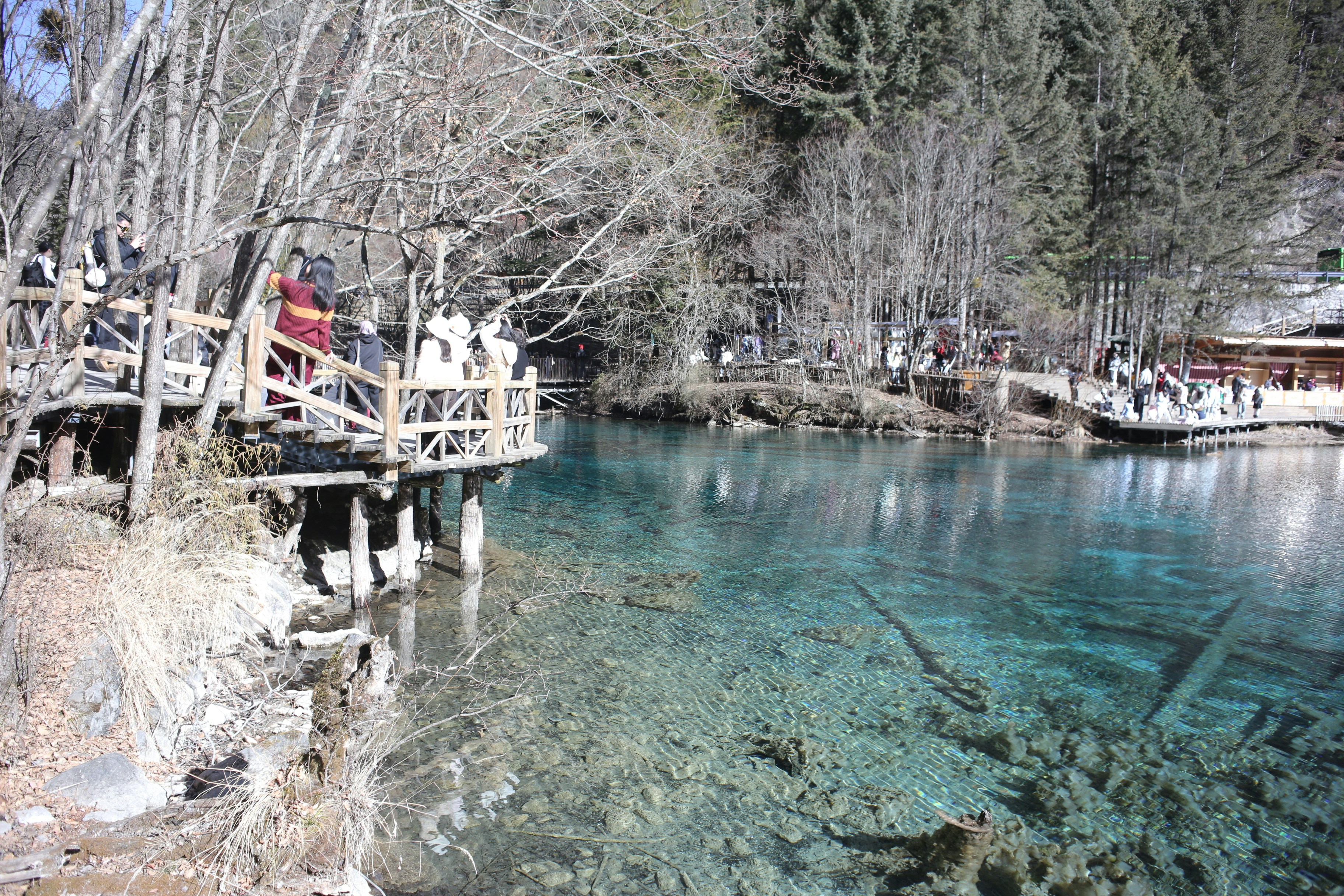 Crystal Waters under a Boardwalk: Visitors Gaze at a Glacier-fed Lake
