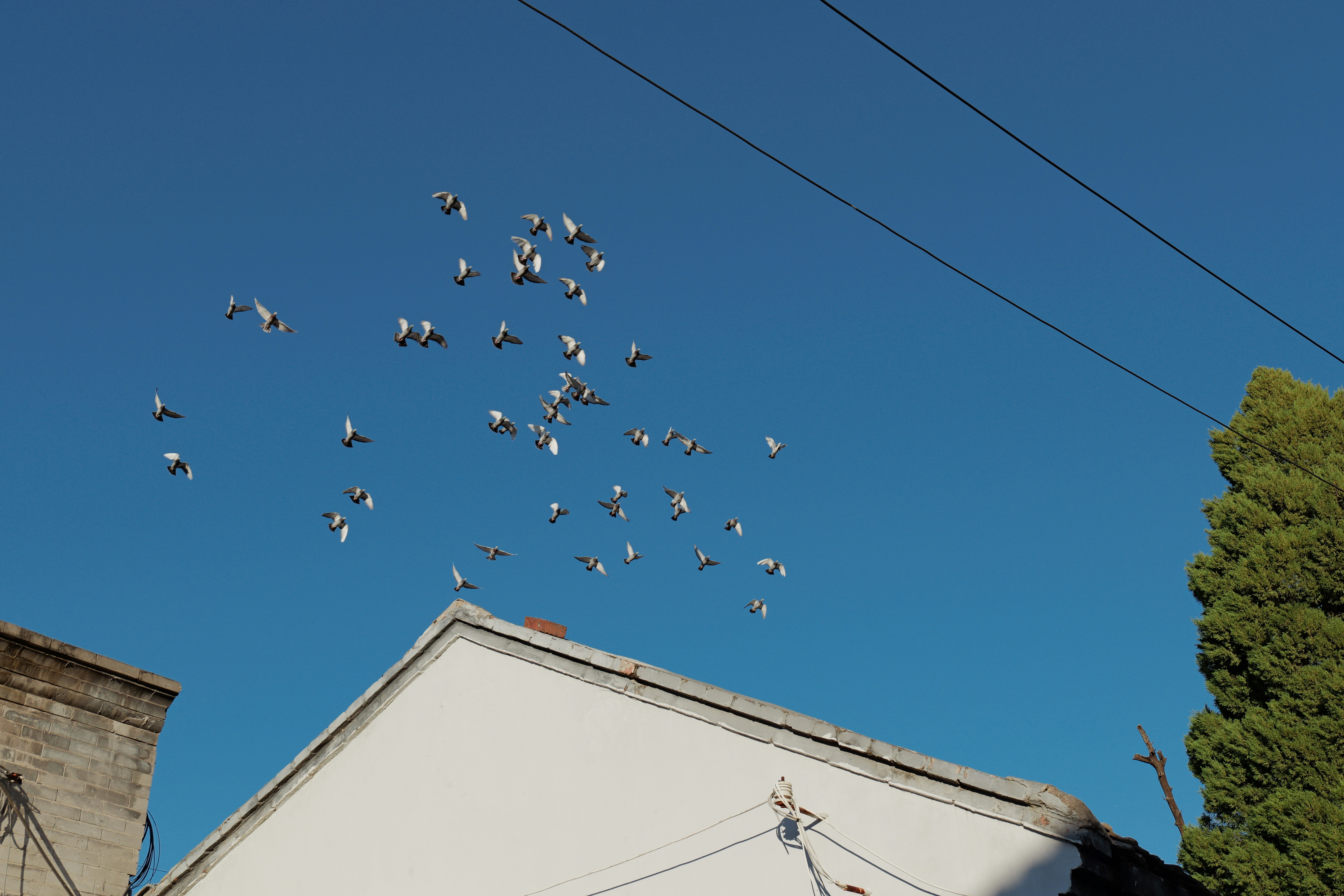 Aerial Chorus Above Sloped Rooftops