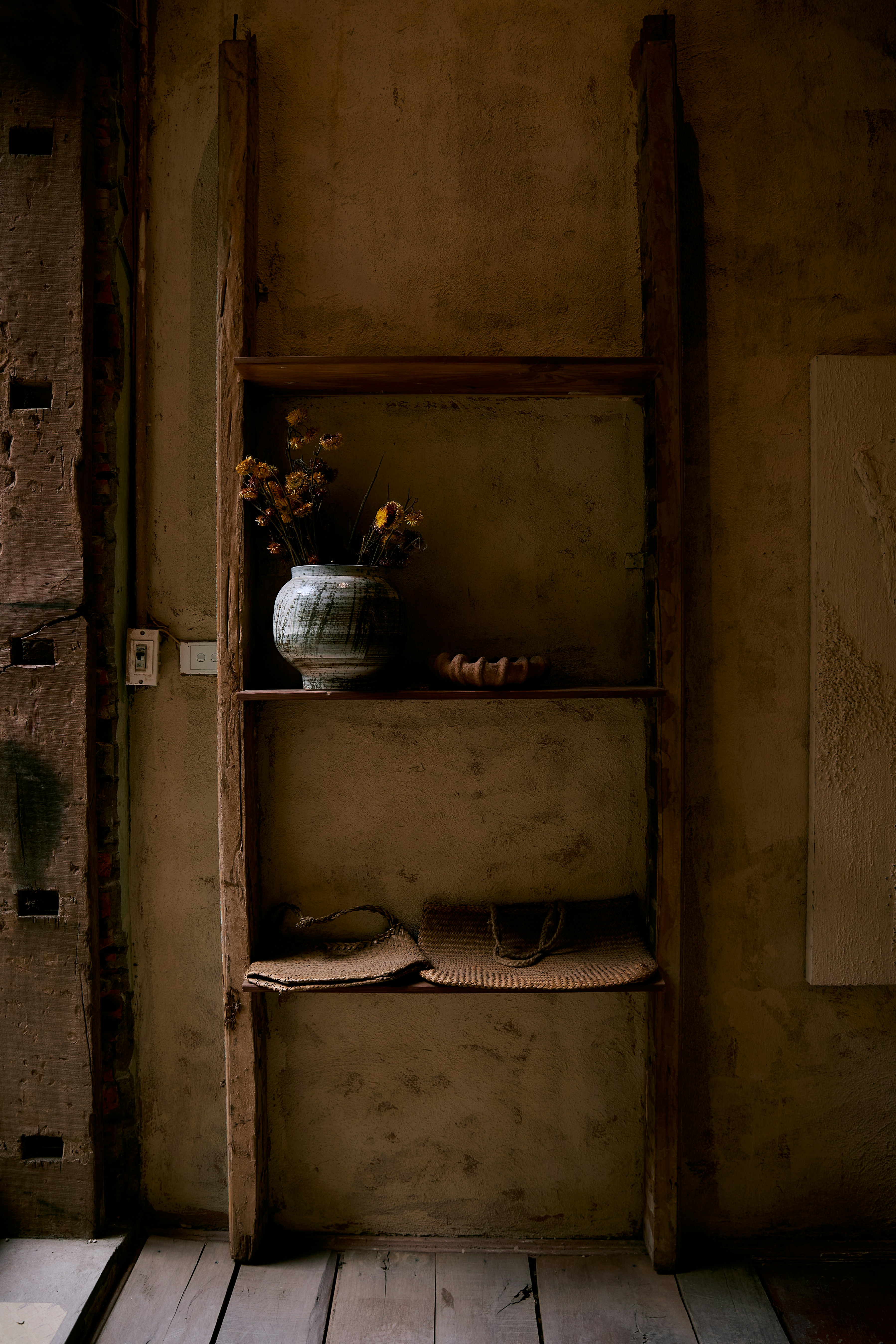 Dusty Shelves in Quiet Decay