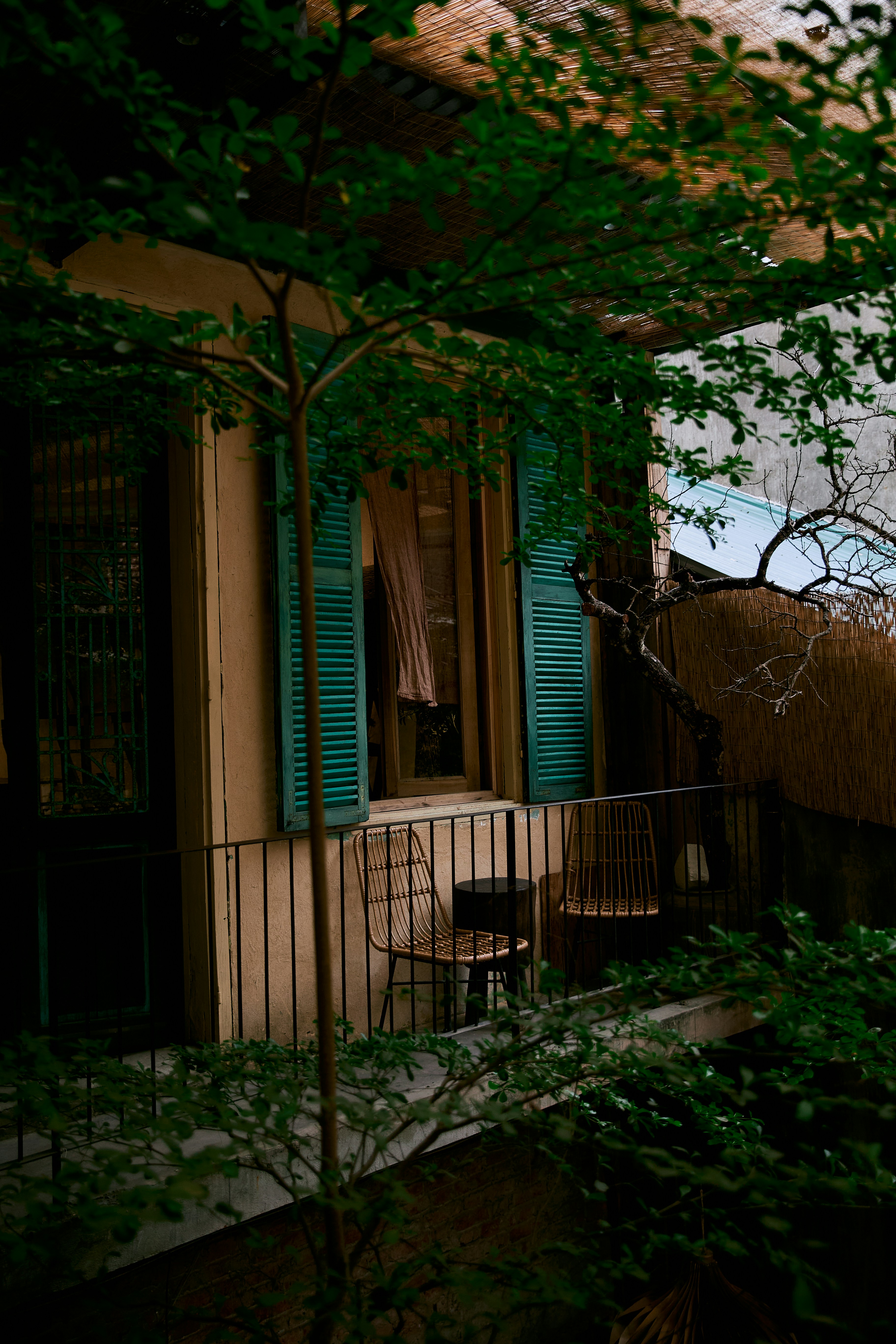 Overgrown veranda: a sunlit doorway framed by green leaves