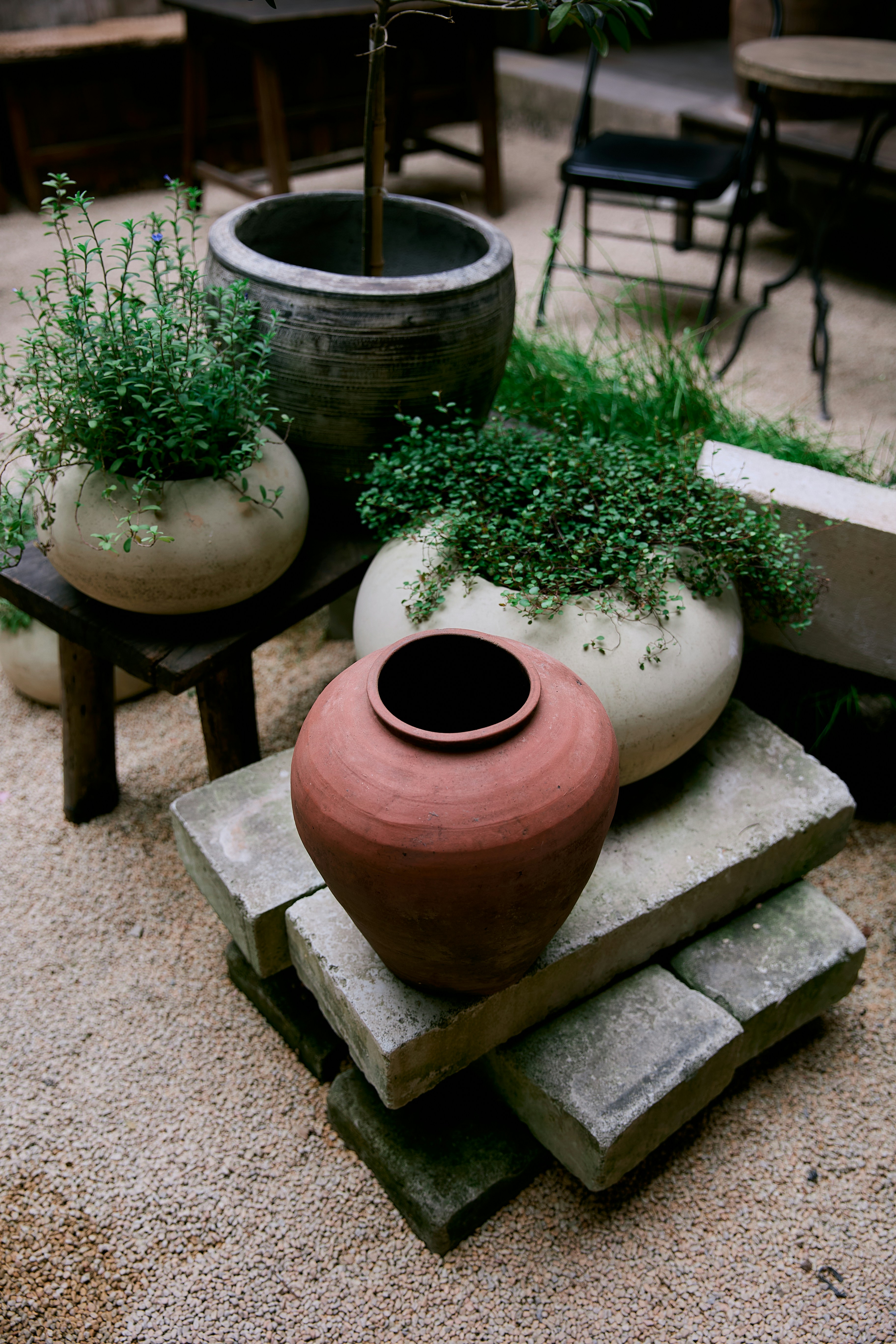 Terracotta Vessel Surrounded by Verdant Ornaments on Stacked Crates