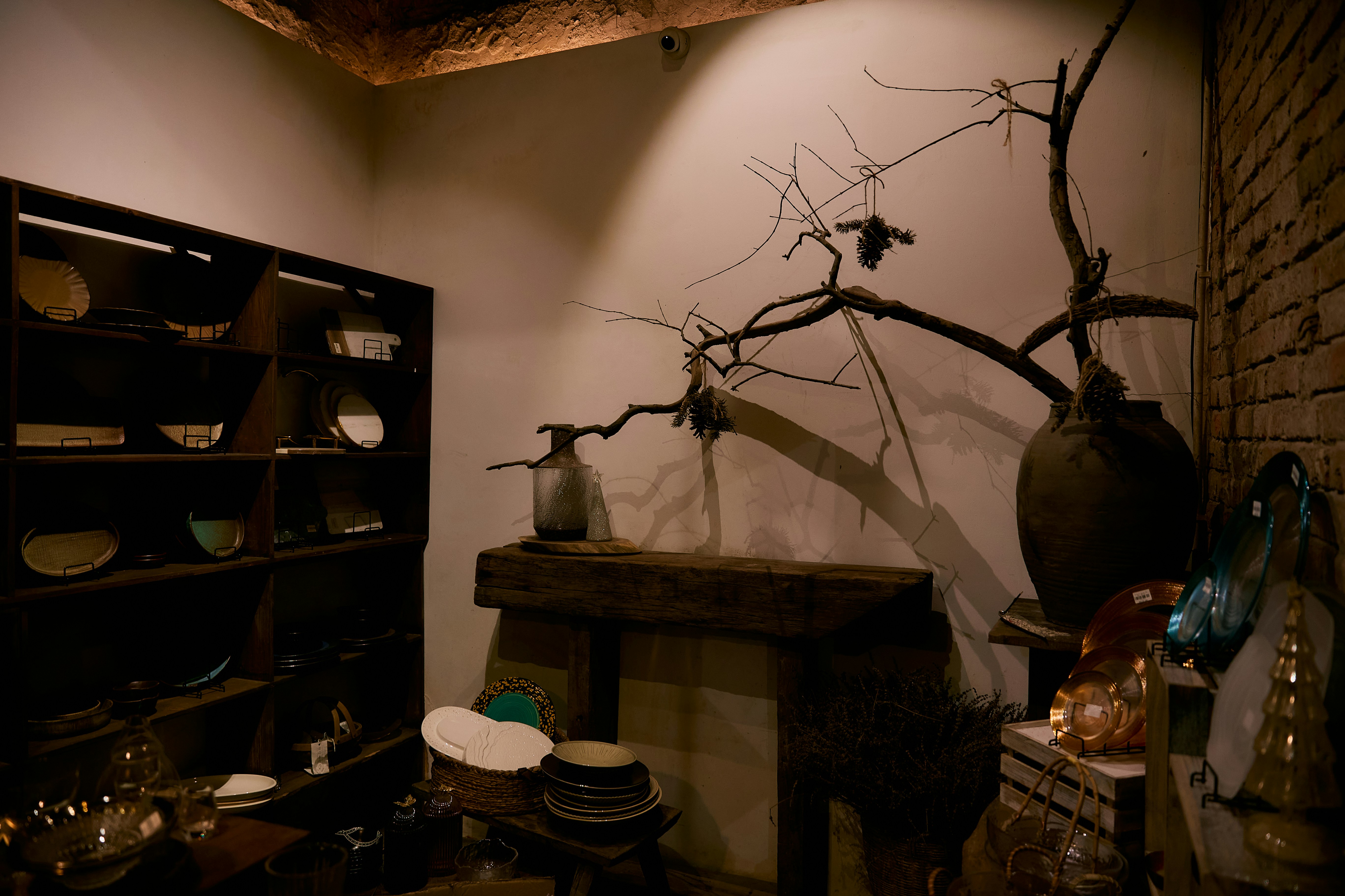 Museum of Quiet Objects under a Gnarled Branch