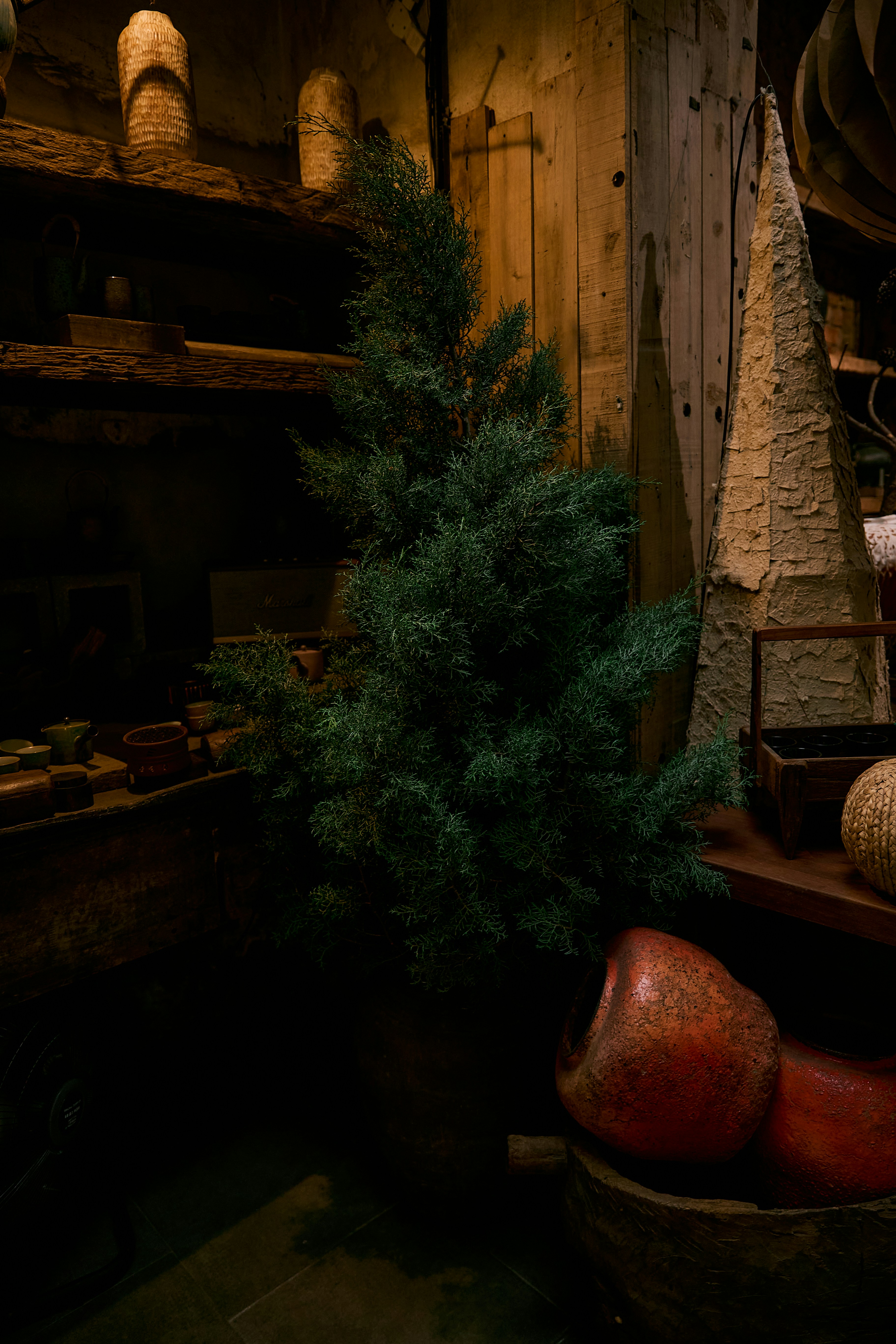 A Quiet Indoor Corner: Rustic Pottery and a Potted Evergreen